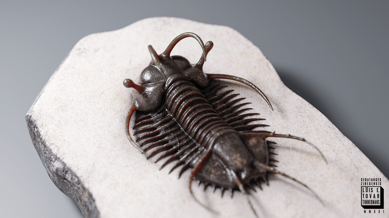 trilobite 3d