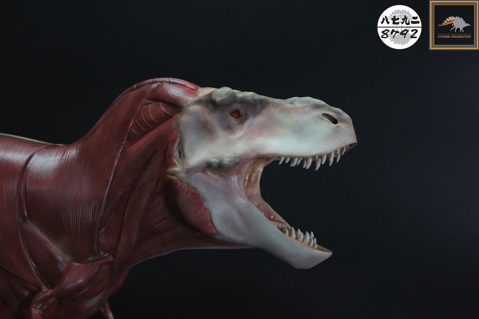 Vitamin Imagination - Tyrannosaurus rex Anatomy model completed