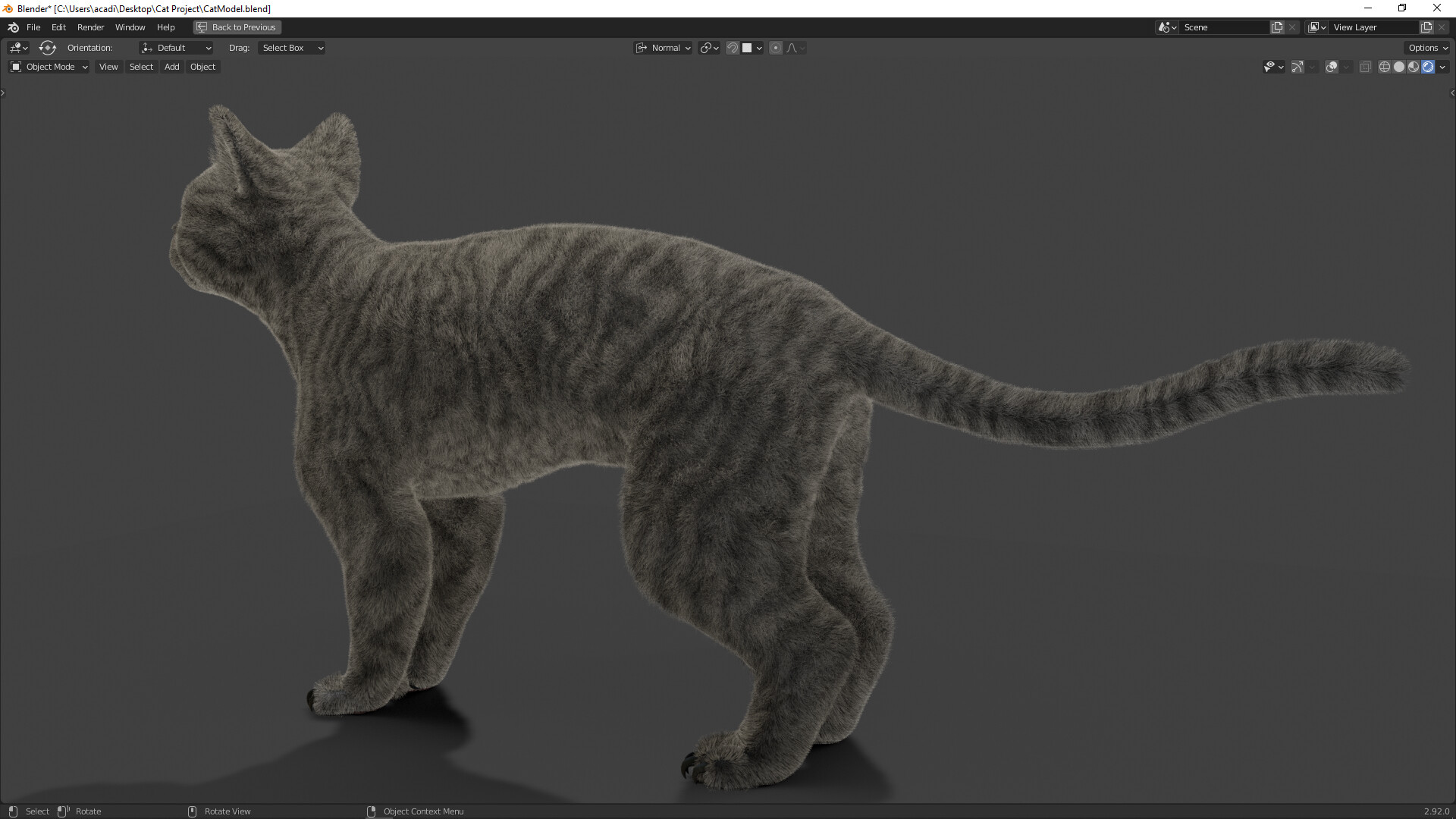ArtStation - Cat Fur Study