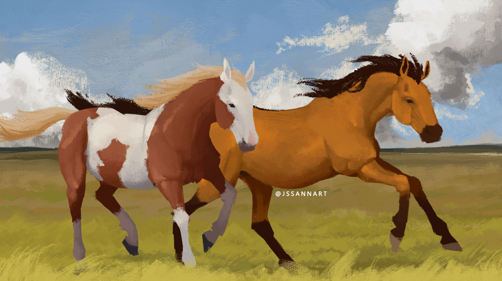 Rain The Horse From Spirit