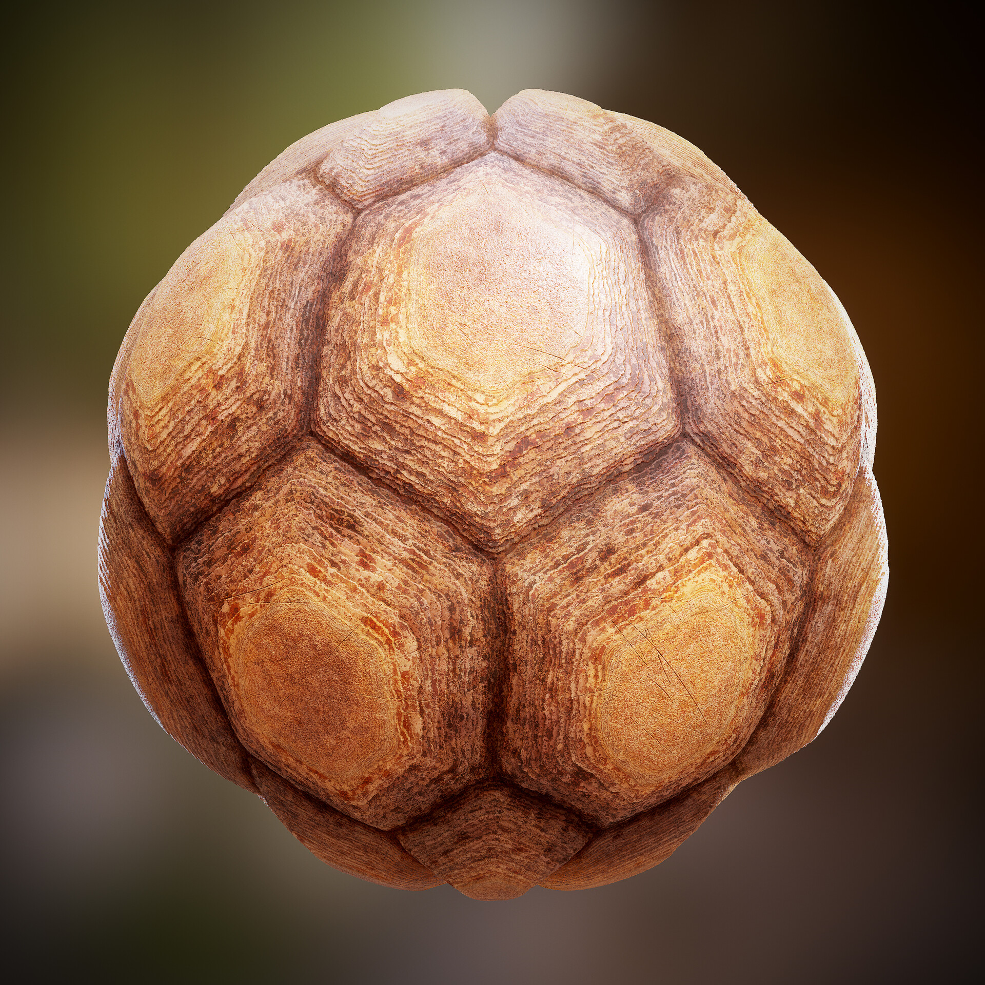 ArtStation - Tortoise Shell