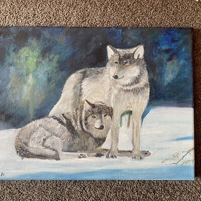 ciaran gallagher art