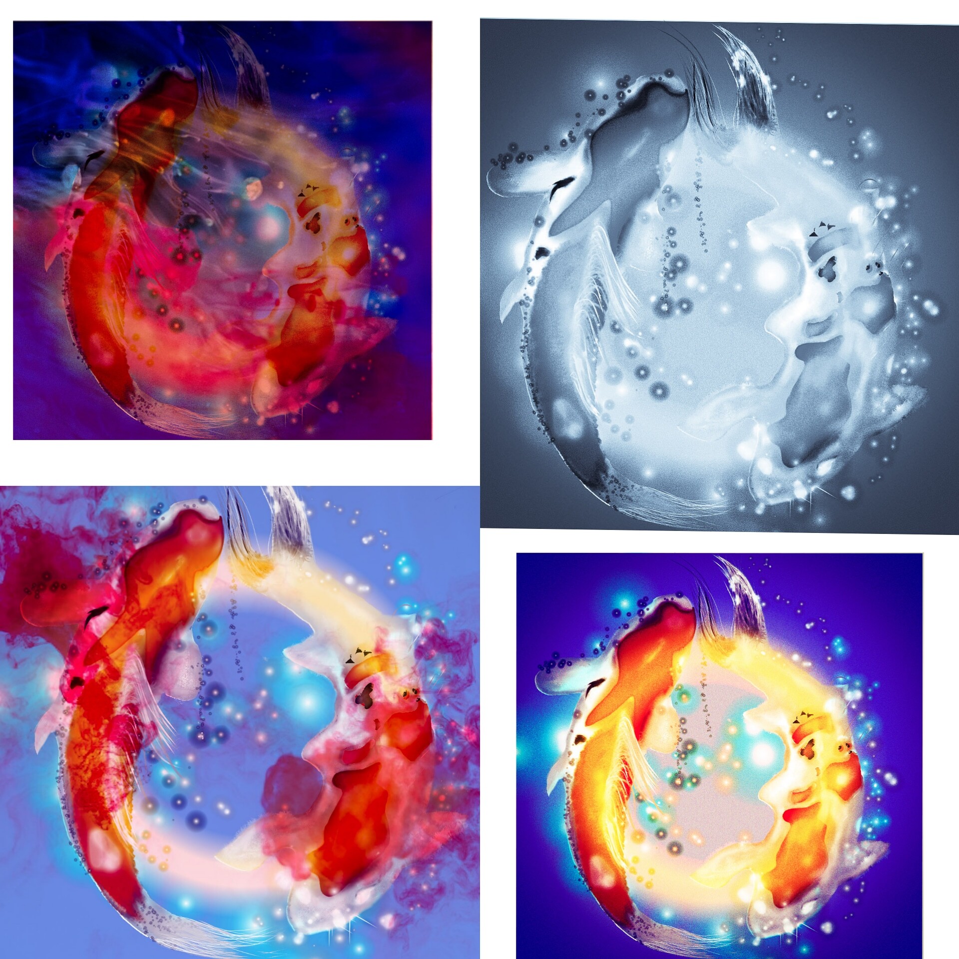 ArtStation - Koi fish stages