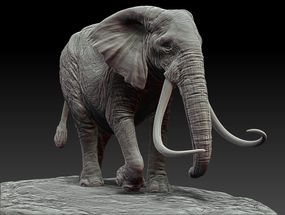 ArtStation - Elephant sketch