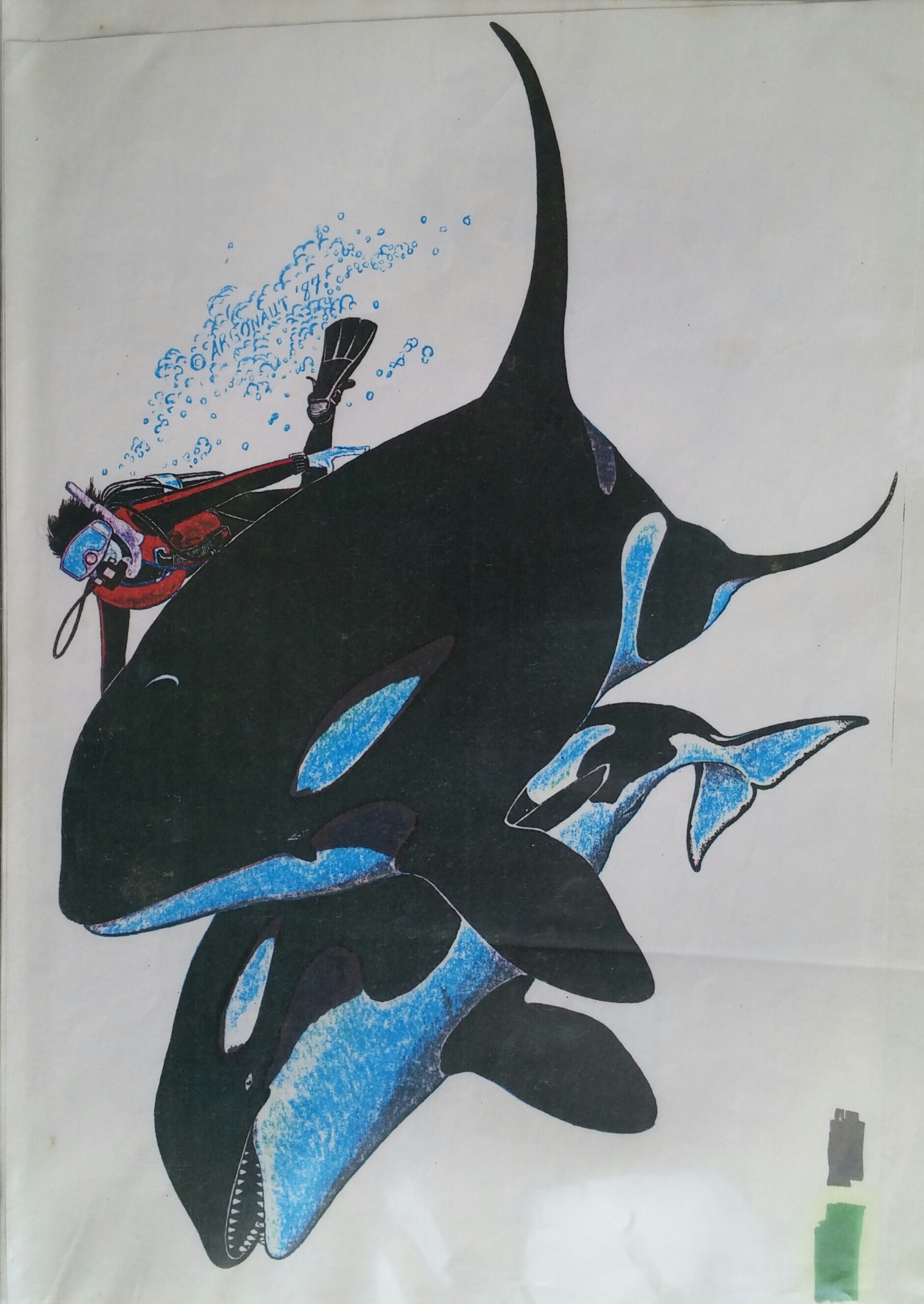 ArtStation - Man & Orca SCUBA Diving Pitch Sketch