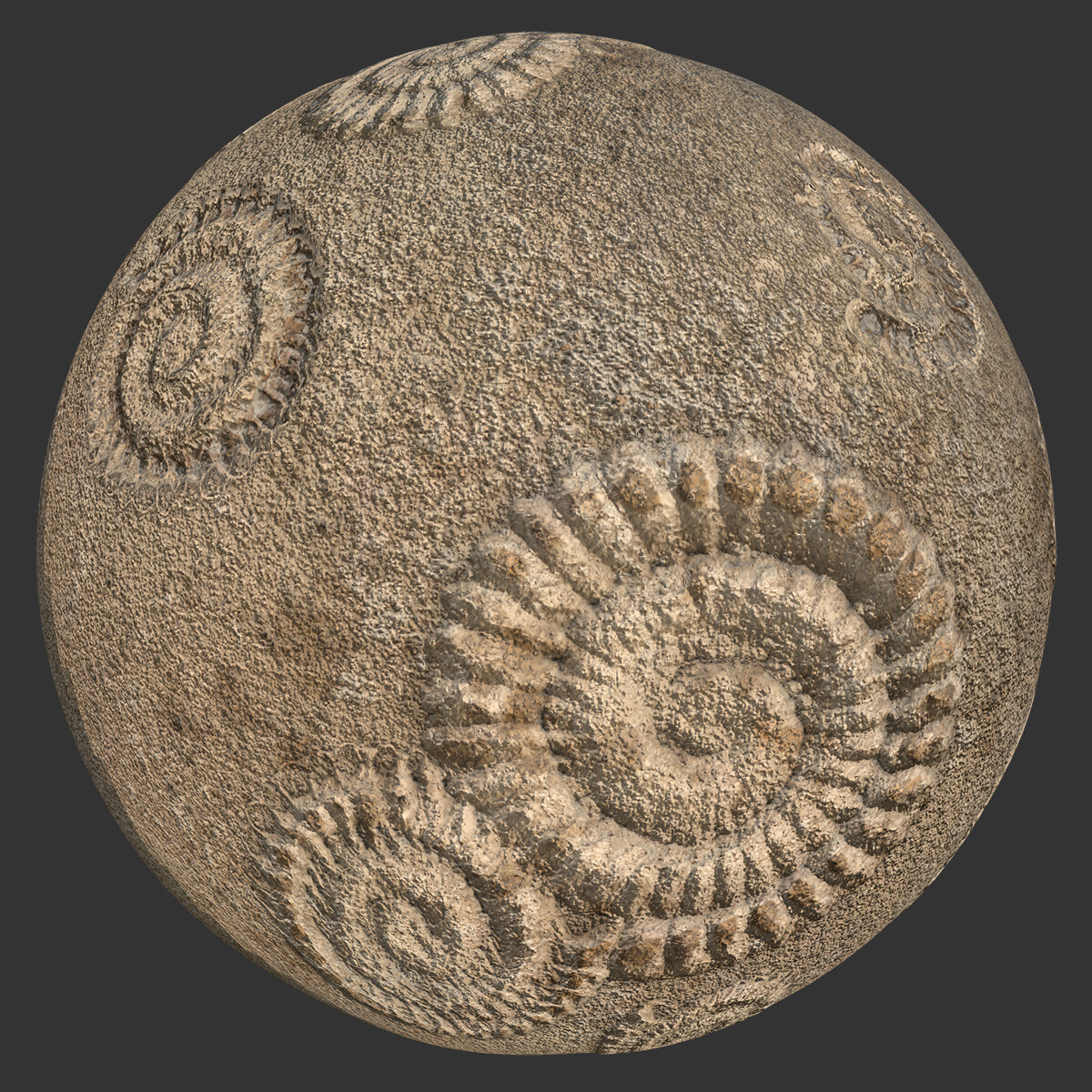 ArtStation - Fossil Rock Texture