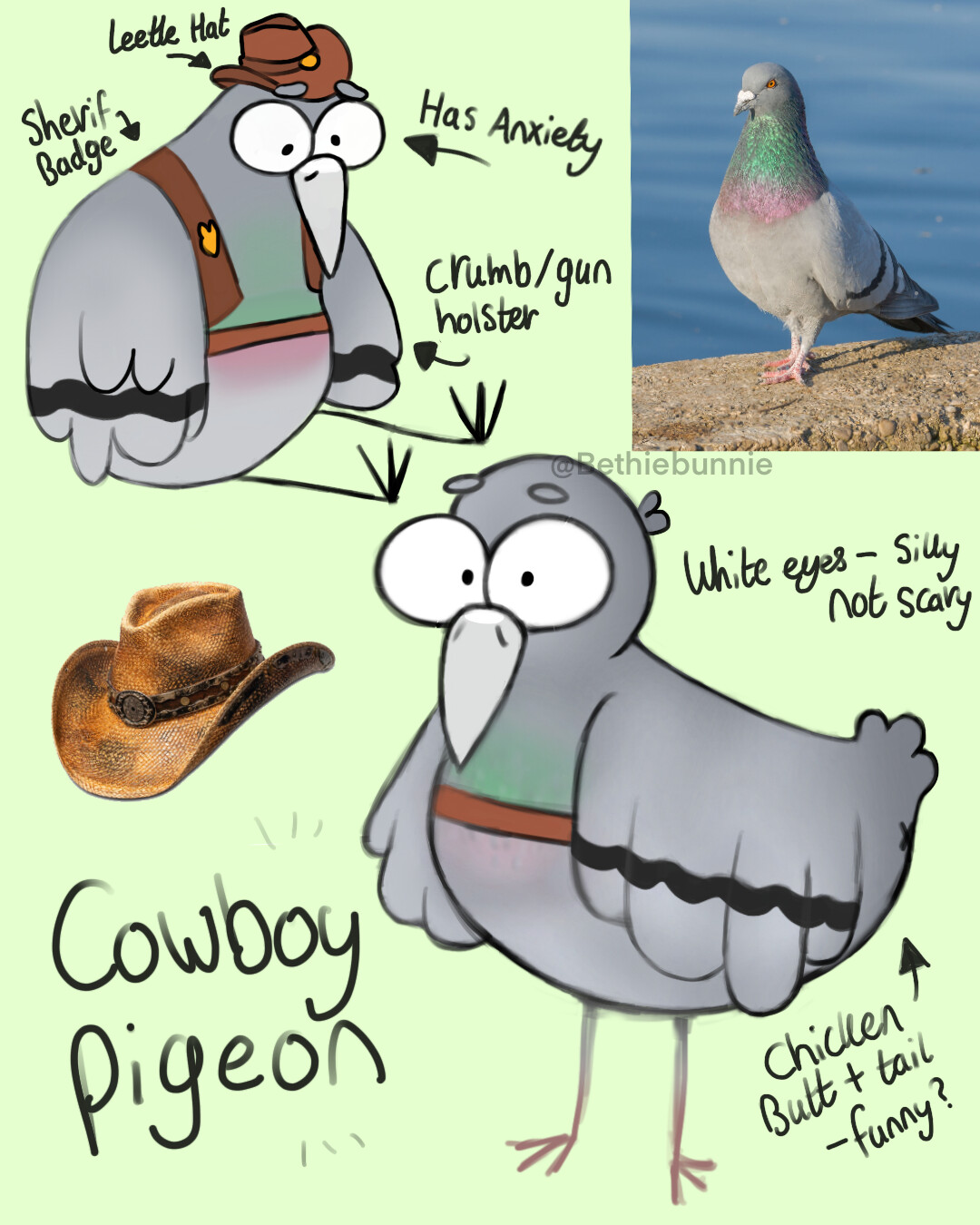 ArtStation - Cowboy Pigeon Concept