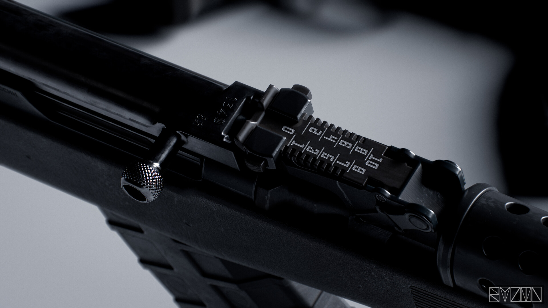 RYZIN ART - SKS Closeups