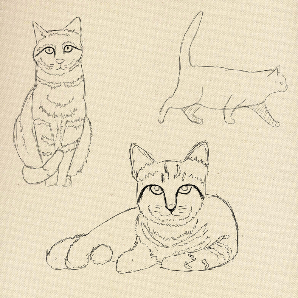 ArtStation - Cat Sketches