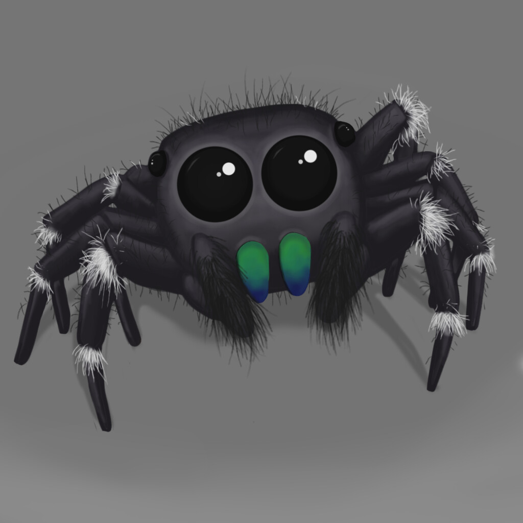 Deborah Royter - Concept Art for Life as a Spider Prototype