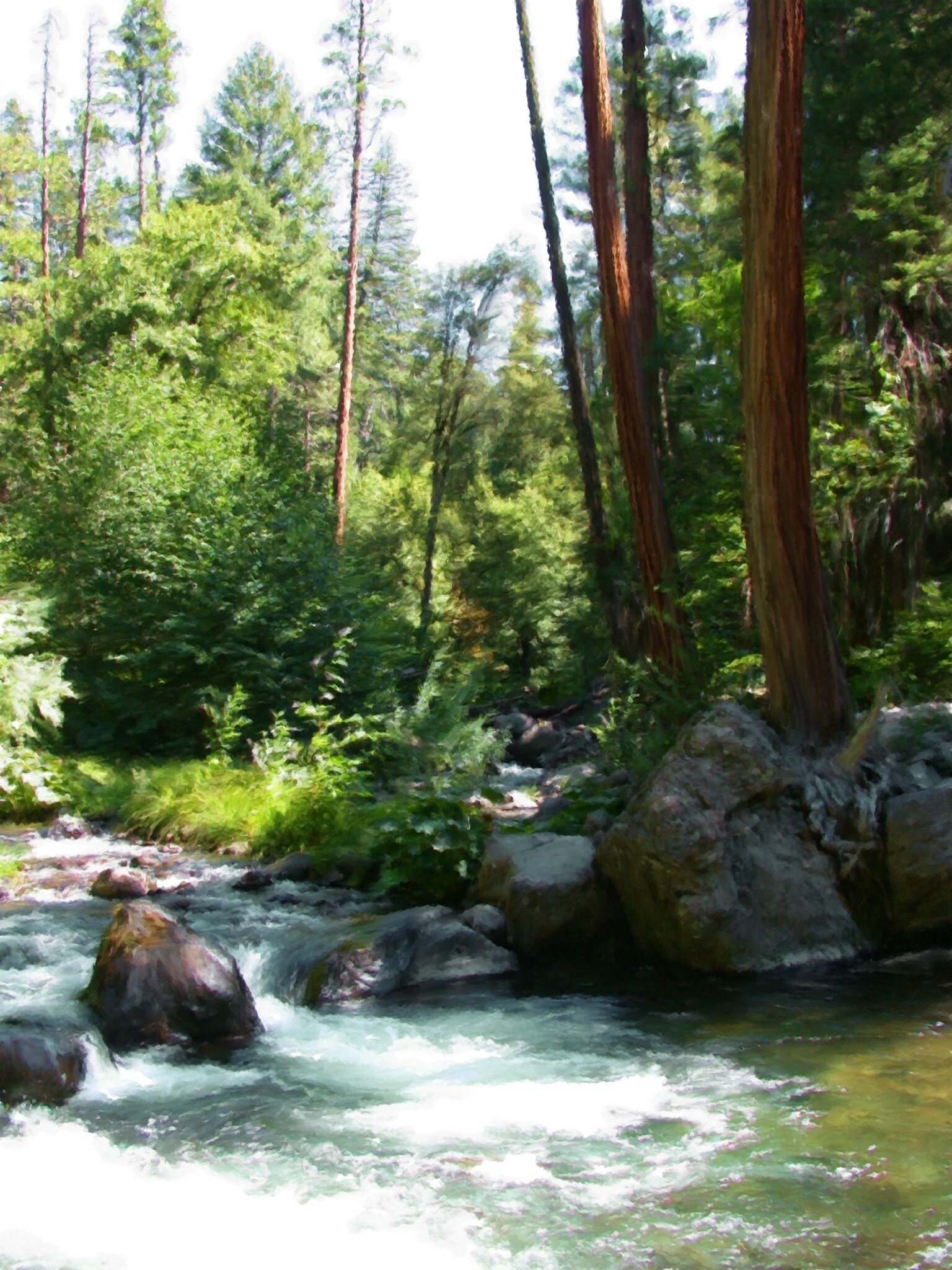 ArtStation - Redwoods by Rocks and Stream