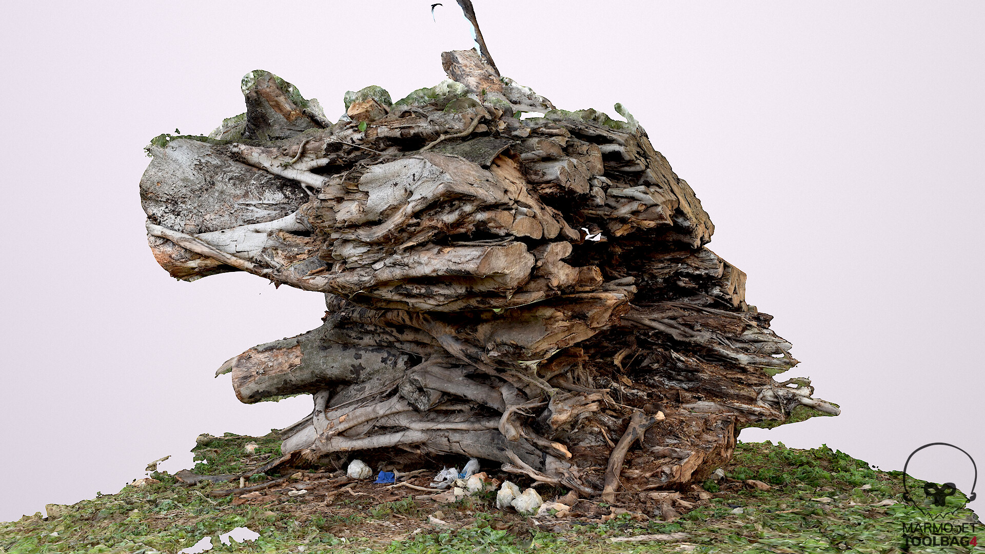 ArtStation - Photogrammetry Study