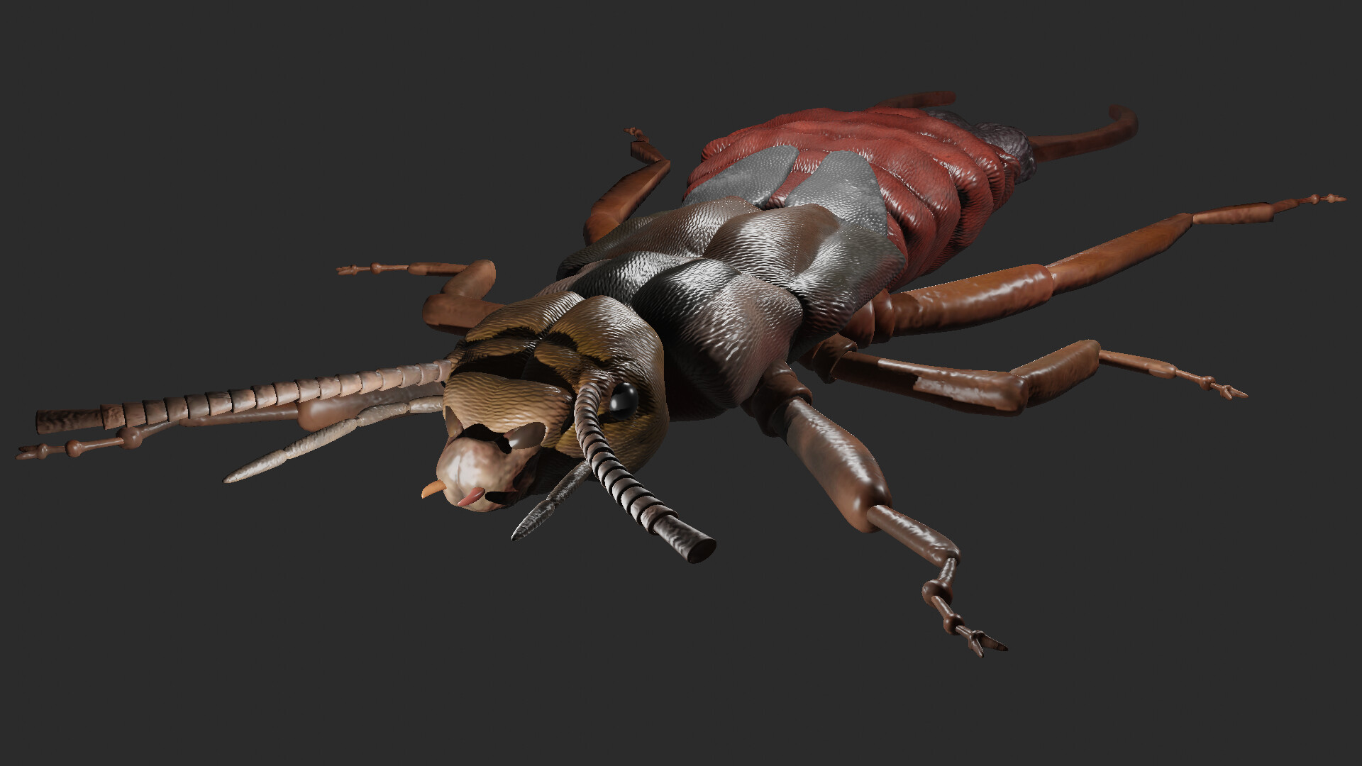 ArtStation - Earwig