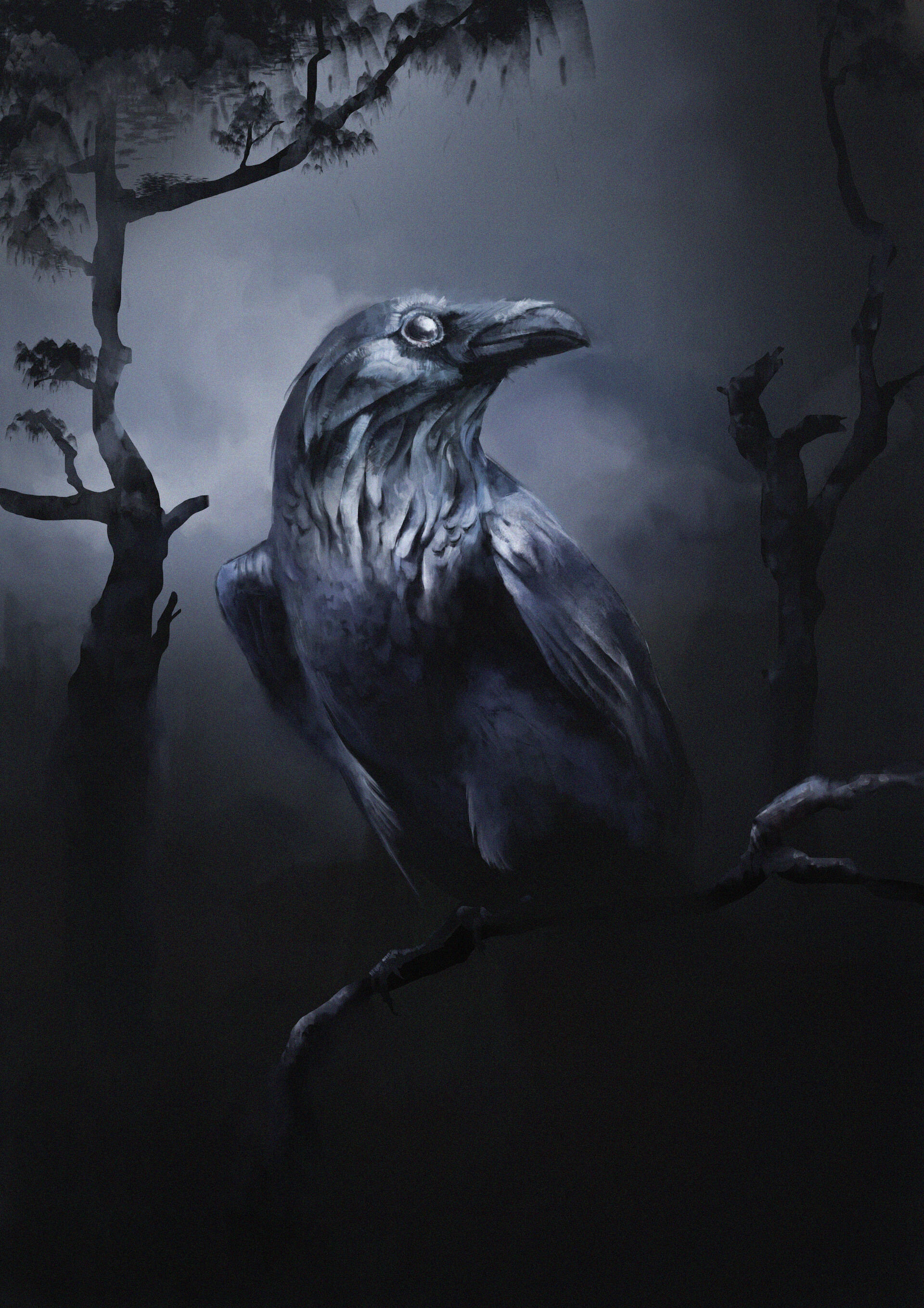 ArtStation - The Crow