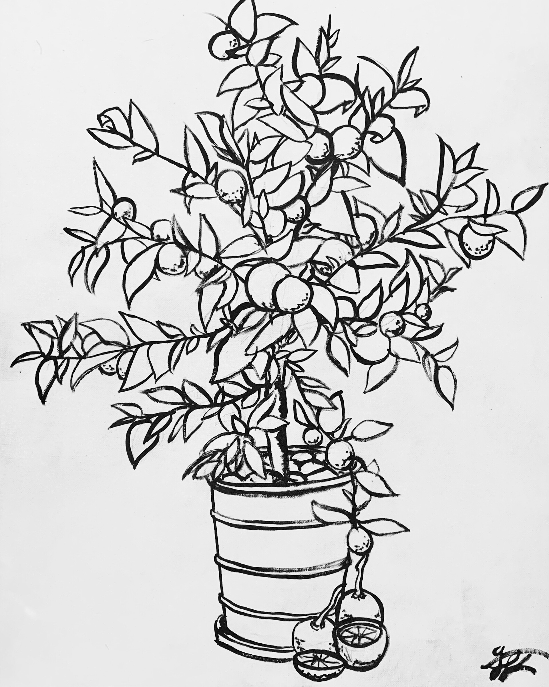 ArtStation - Calamansi Tree