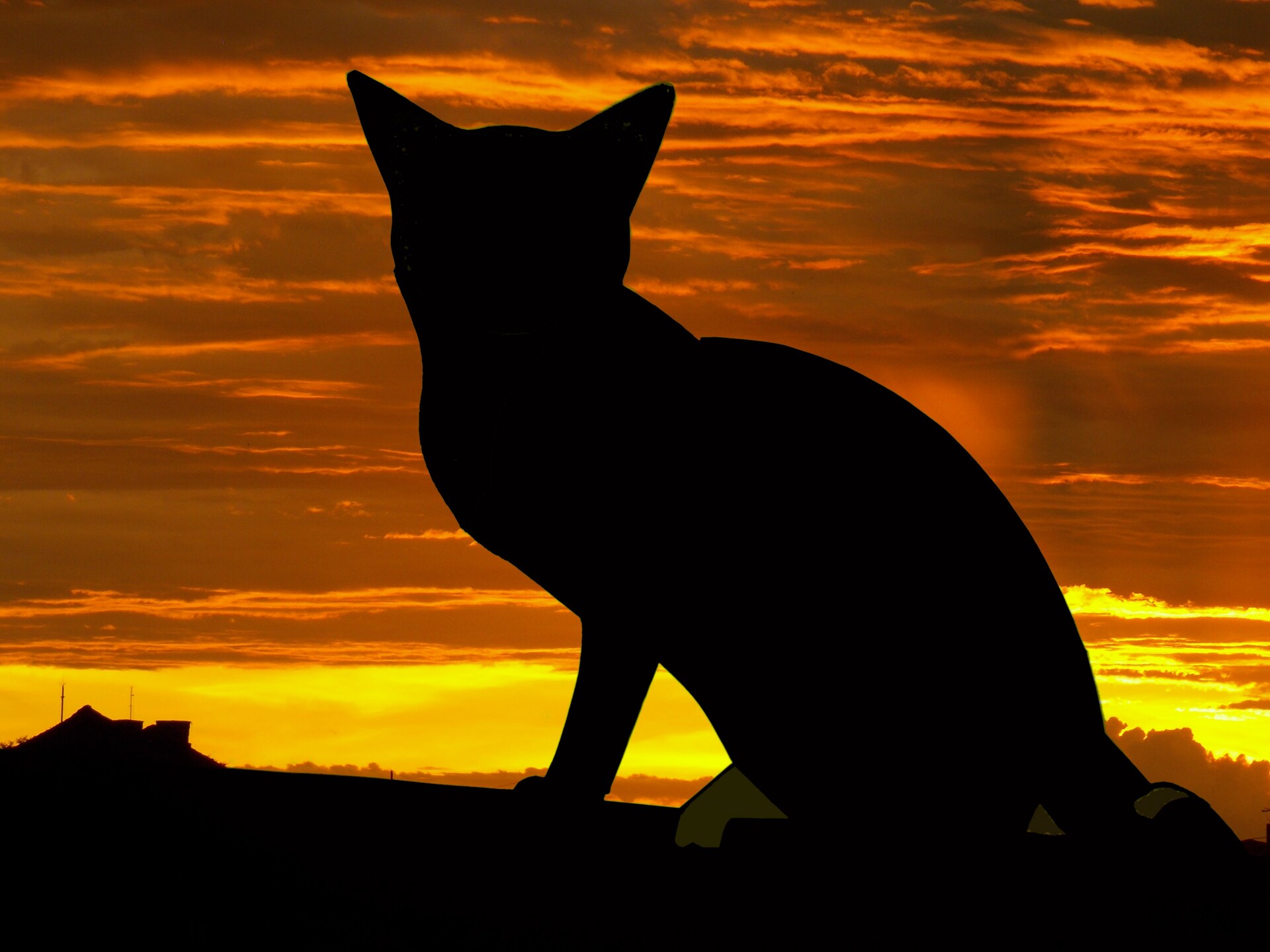 ArtStation - Cat on the Roof