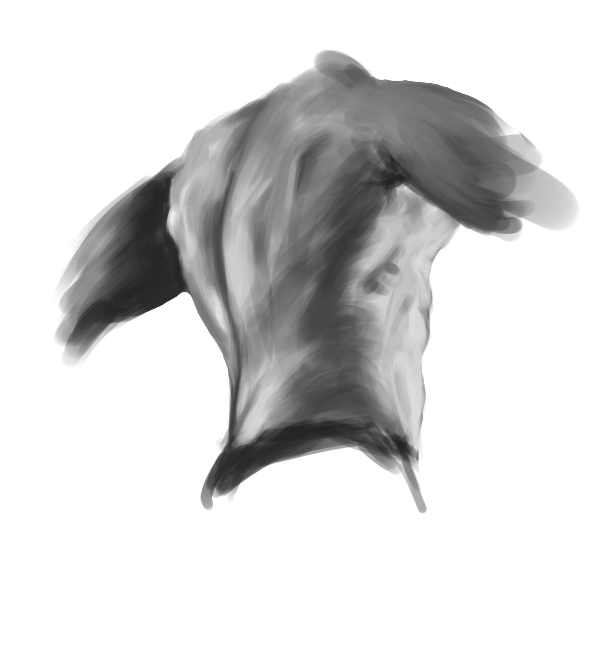 ArtStation - Male Torso/Back Study 2