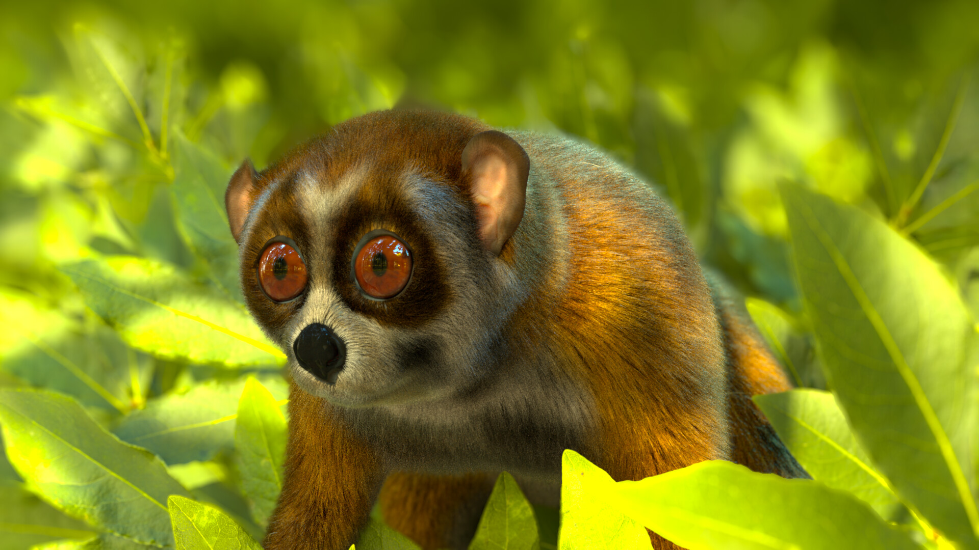 ArtStation - Pygmy Slow Loris