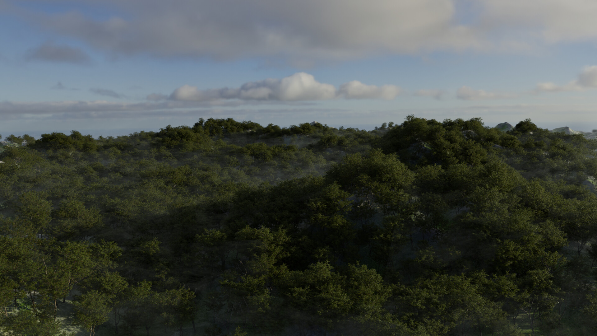 renderit.pro - Forest Scene made in Blender