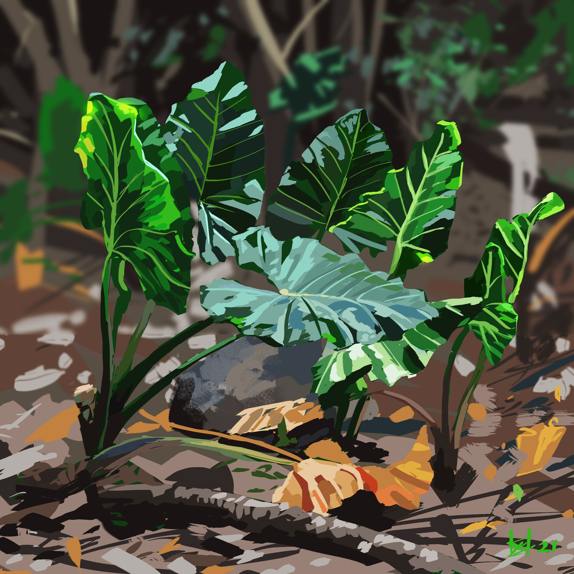 ArtStation - 'Ape plant, Tahauku valley, Hiva Oa, Marquesas islands ...