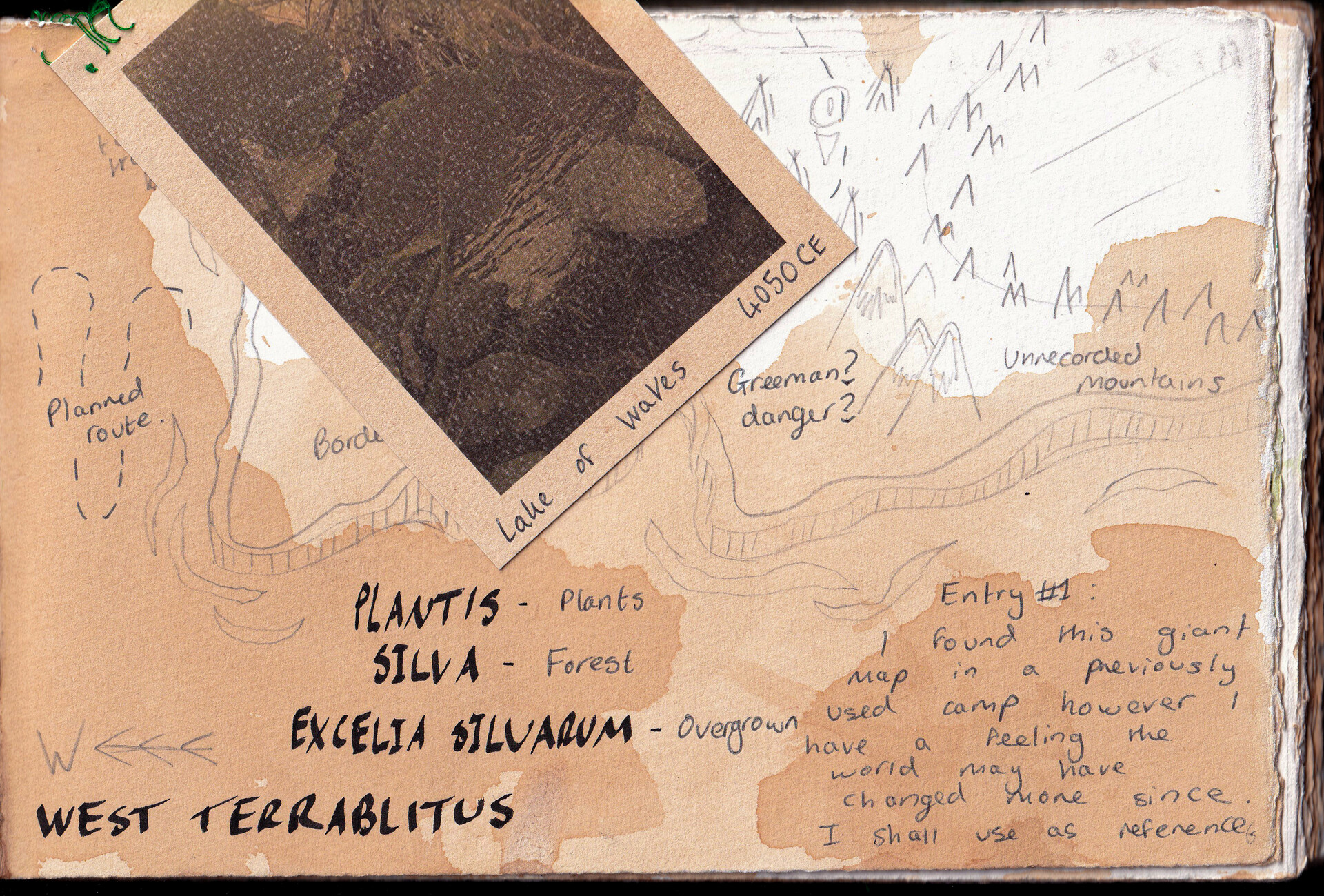 Charlie Ellis - Field Guide to the Creatures of 'Terrablitus'