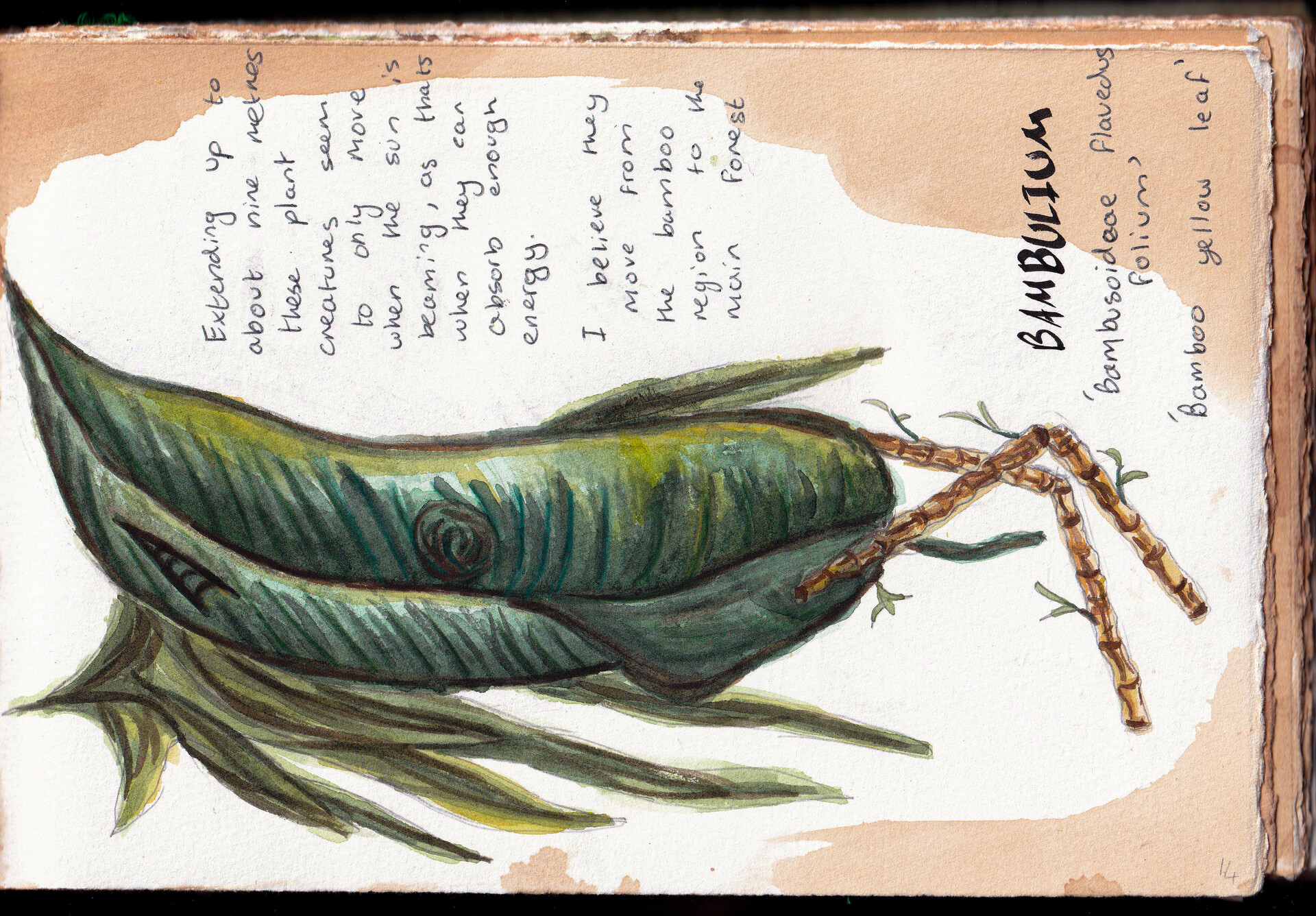 Charlie Ellis - Field Guide to the Creatures of 'Terrablitus'