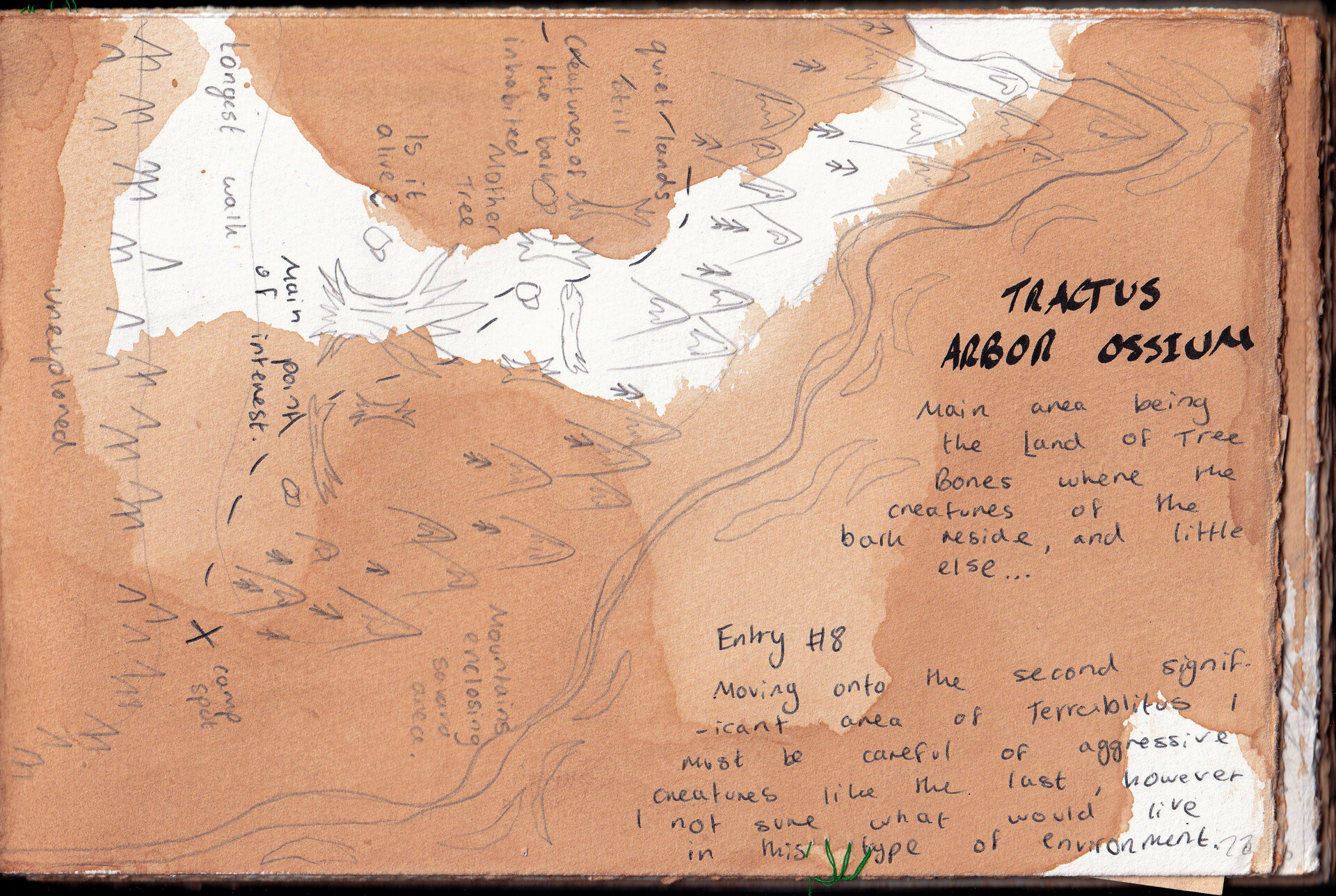 Charlie Ellis - Field Guide to the Creatures of 'Terrablitus'