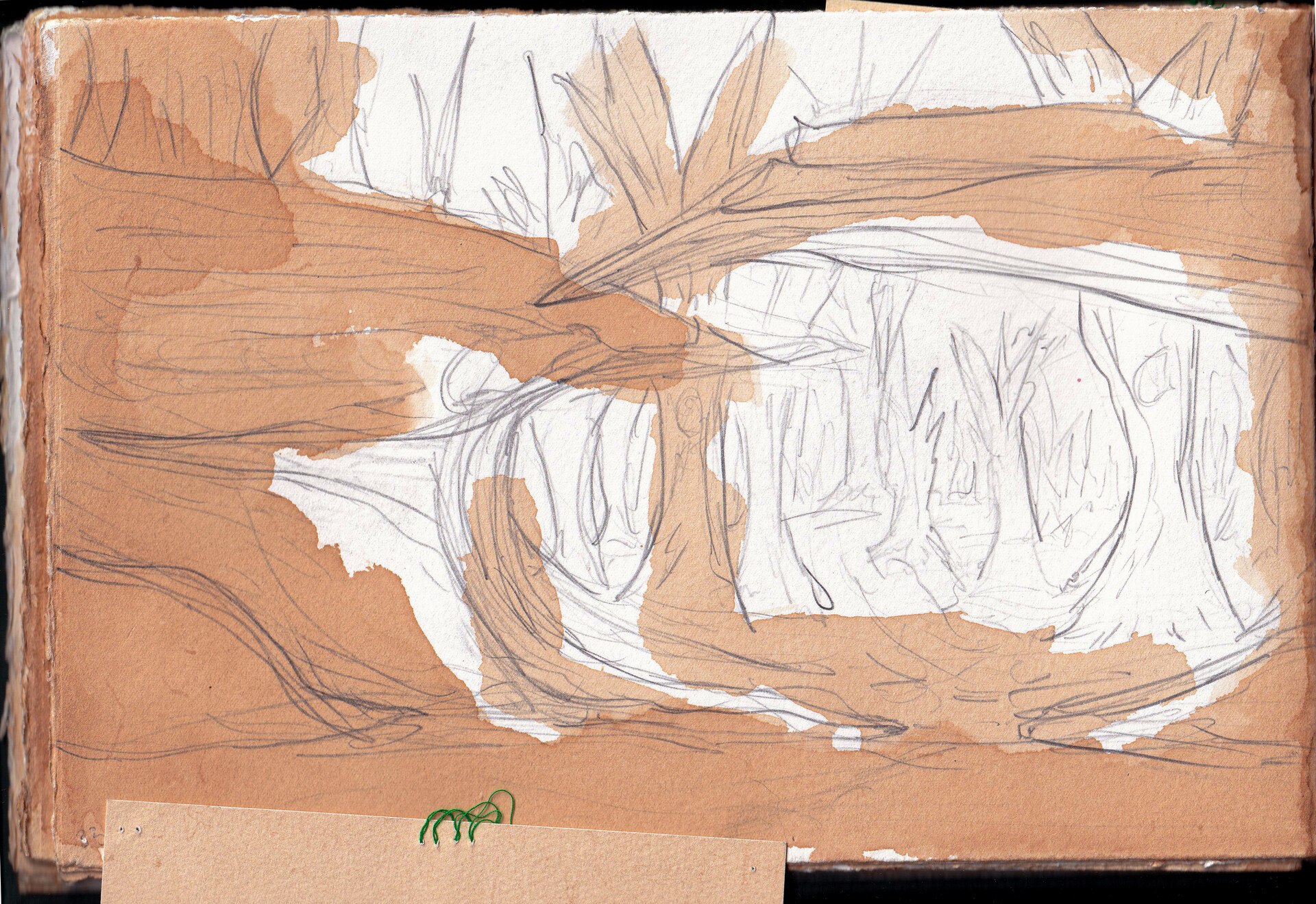 Charlie Ellis - Field Guide to the Creatures of 'Terrablitus'