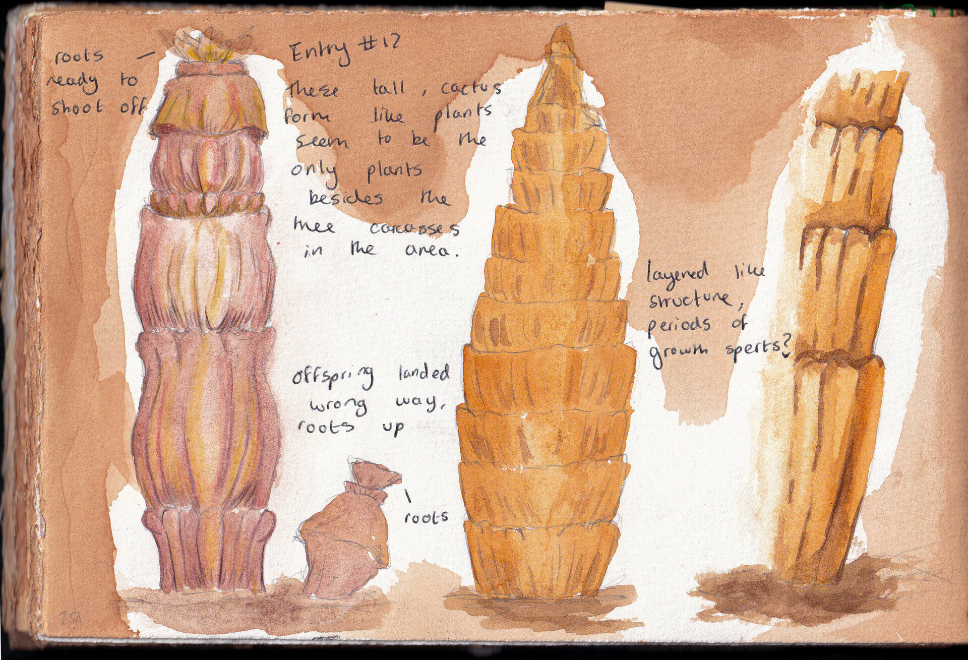 Charlie Ellis - Field Guide to the Creatures of 'Terrablitus'