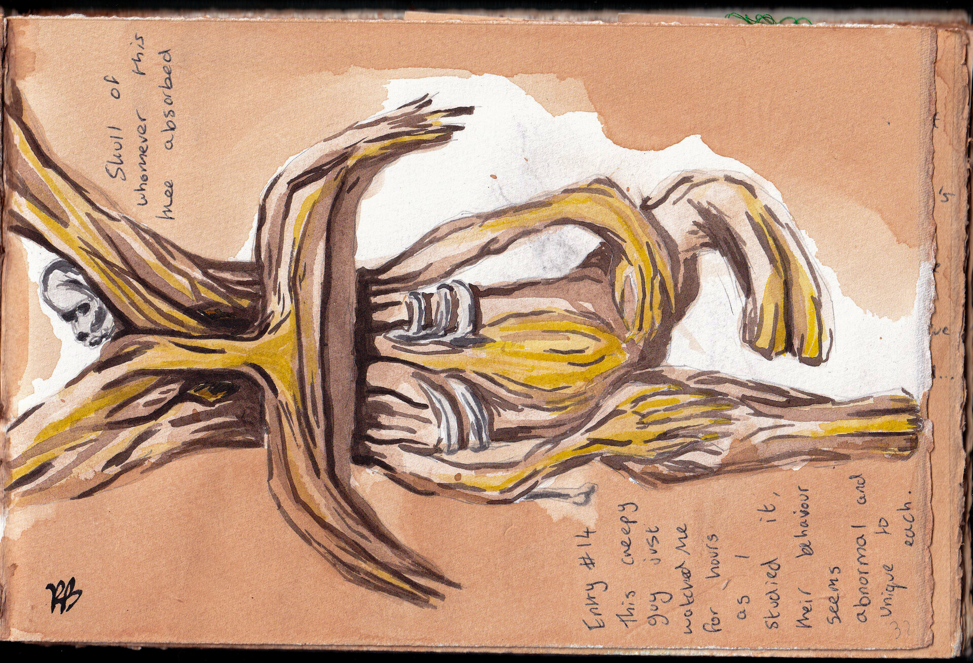 Charlie Ellis - Field Guide to the Creatures of 'Terrablitus'