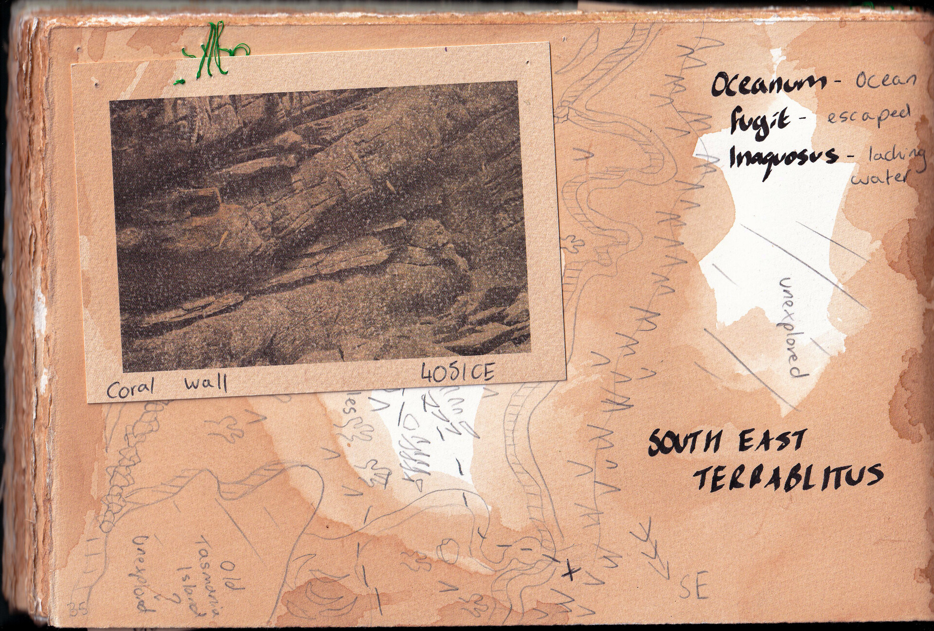 Charlie Ellis - Field Guide to the Creatures of 'Terrablitus'