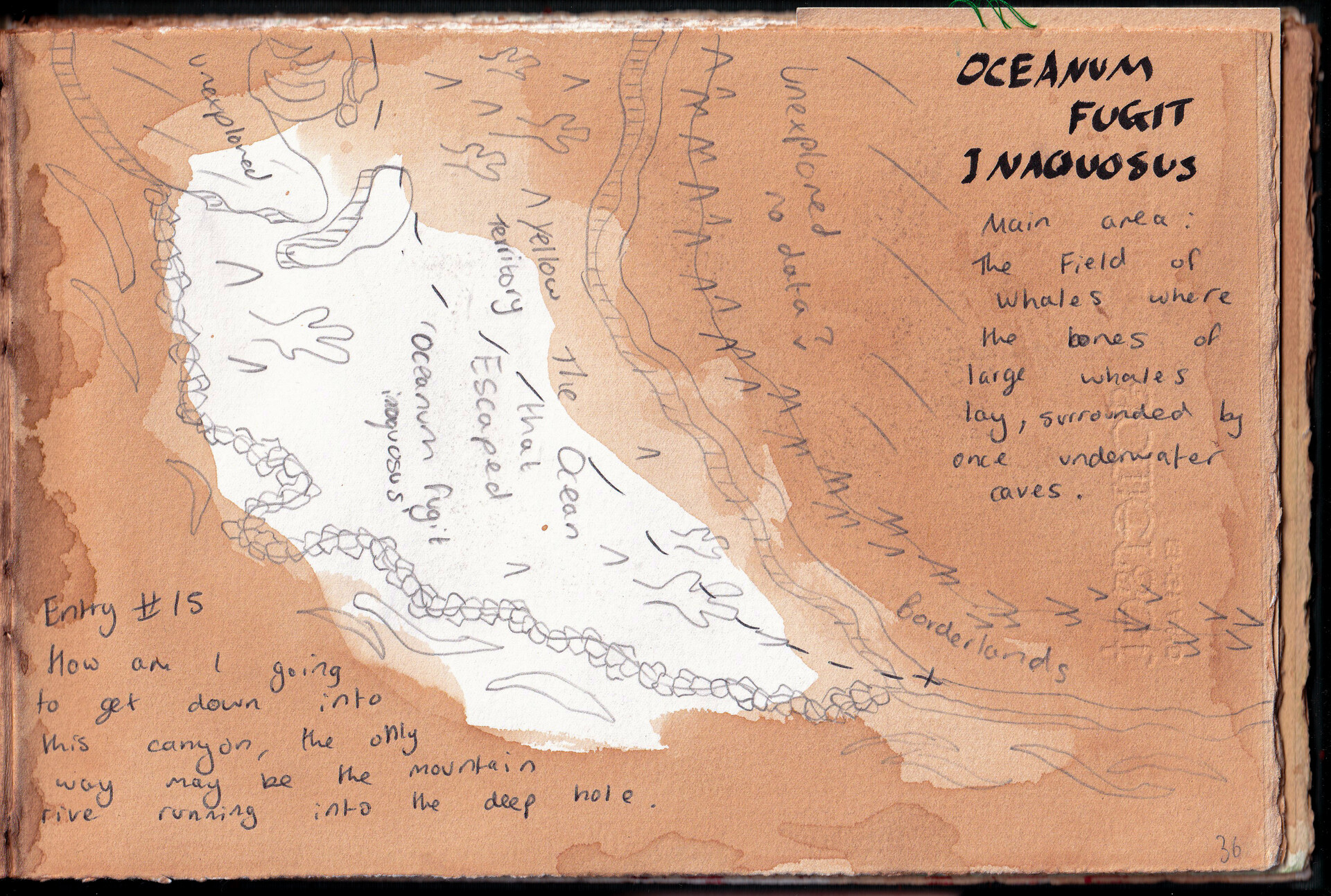 Charlie Ellis - Field Guide to the Creatures of 'Terrablitus'