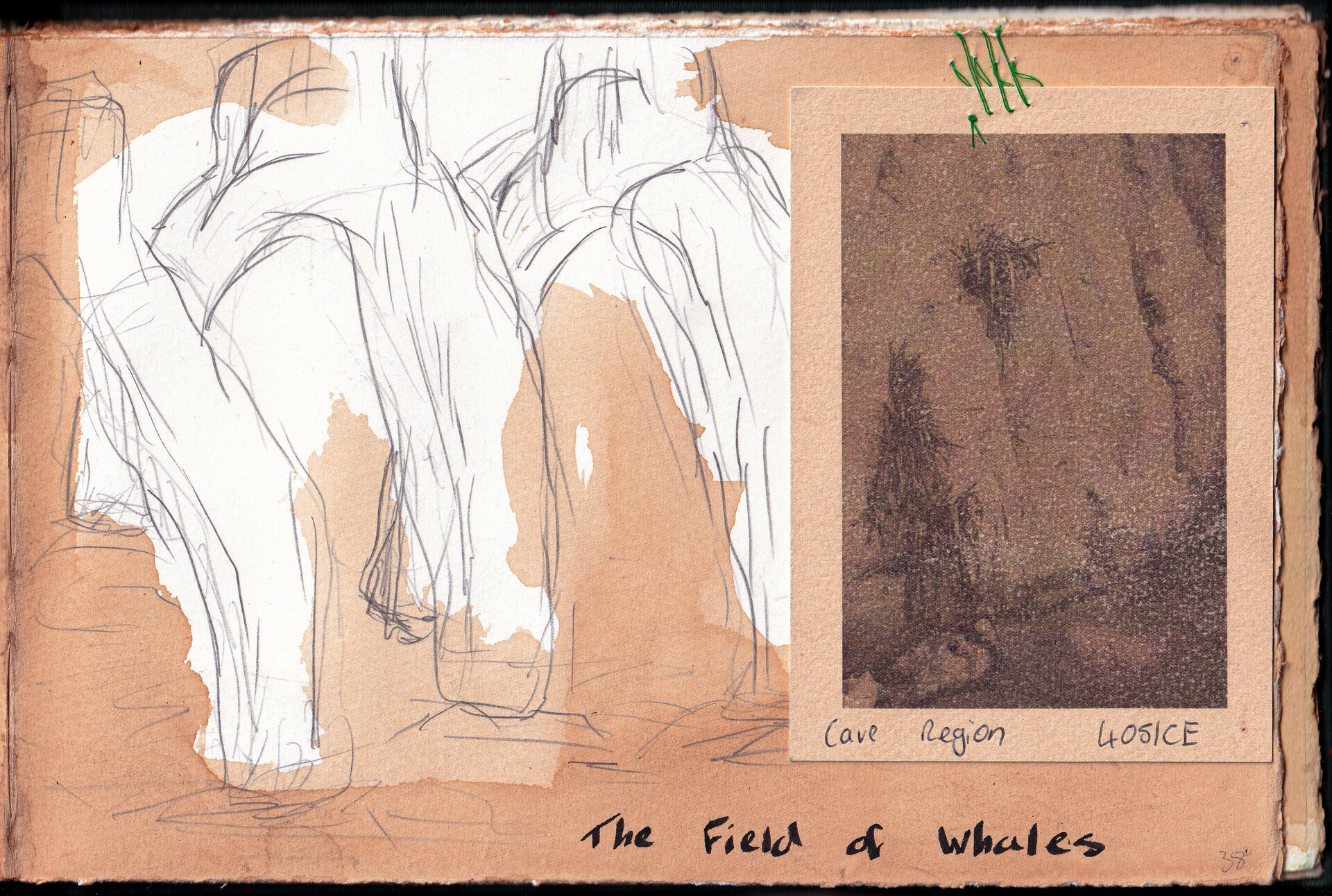 Charlie Ellis - Field Guide to the Creatures of 'Terrablitus'