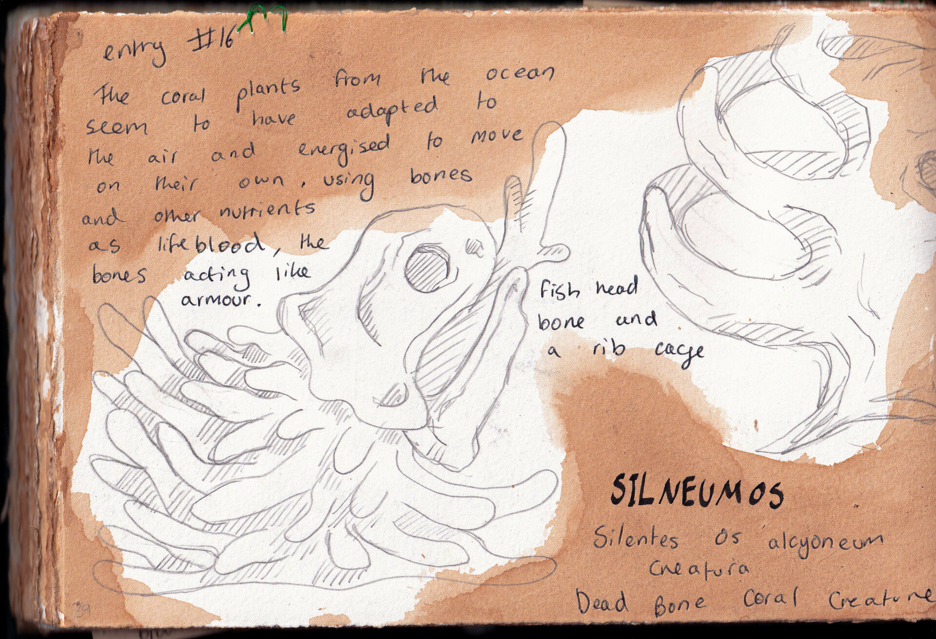 Charlie Ellis - Field Guide to the Creatures of 'Terrablitus'