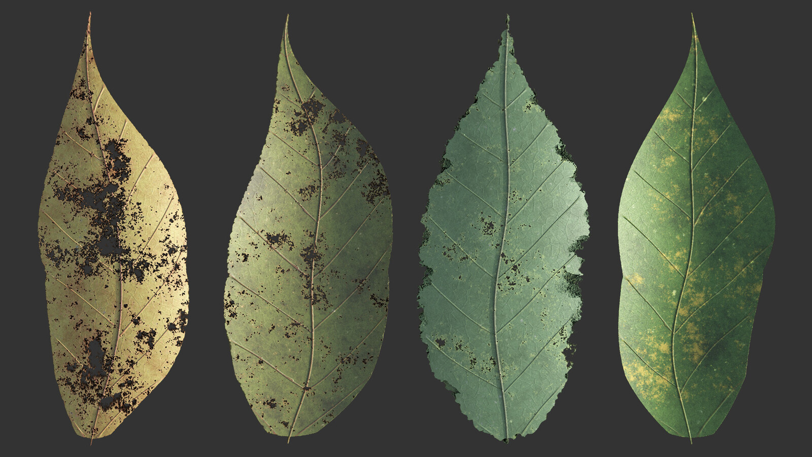 TextureCan - Leaf Generator