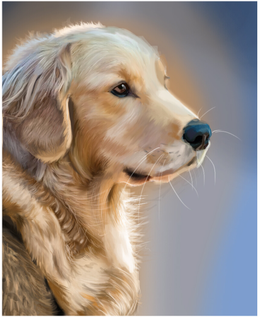 ArtStation - Digital art dog