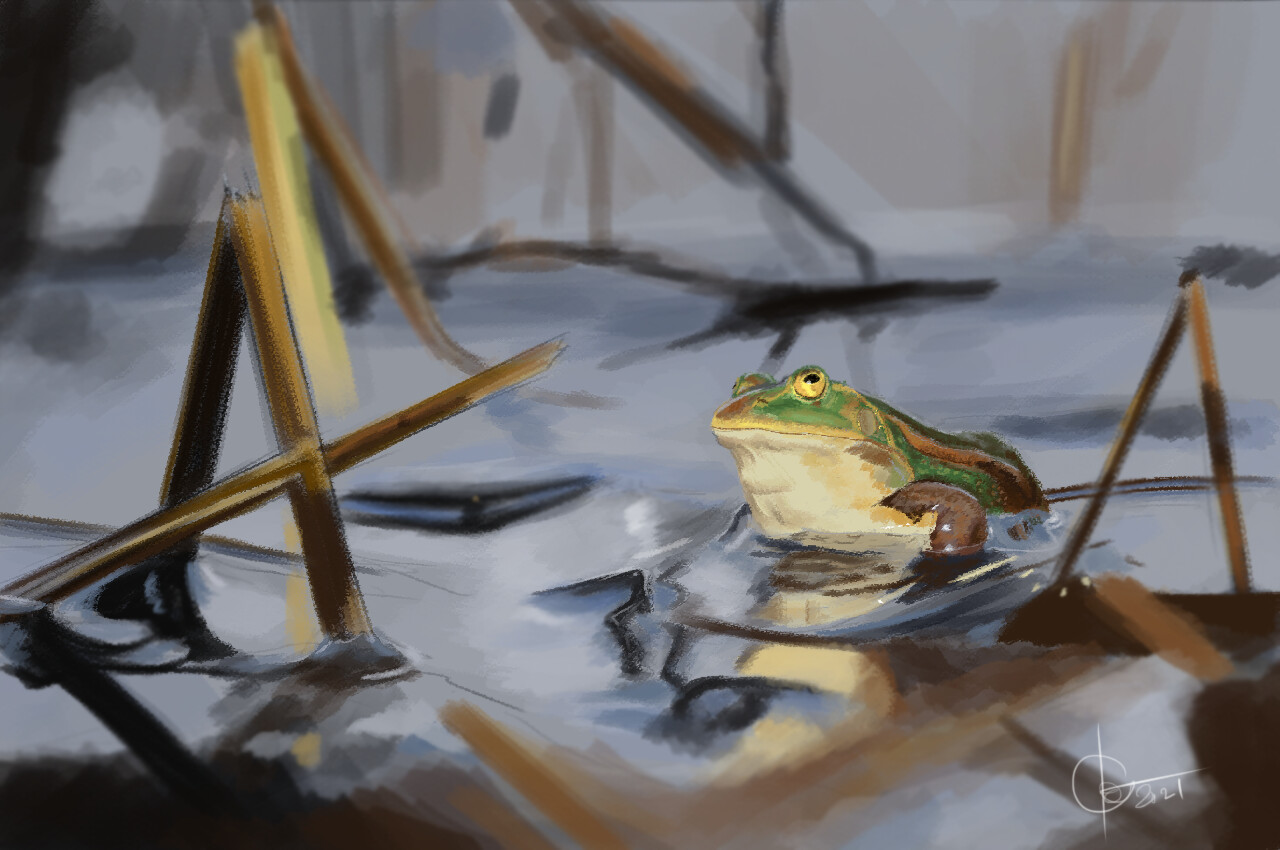 Ian Carter - Study Buddies Part 2