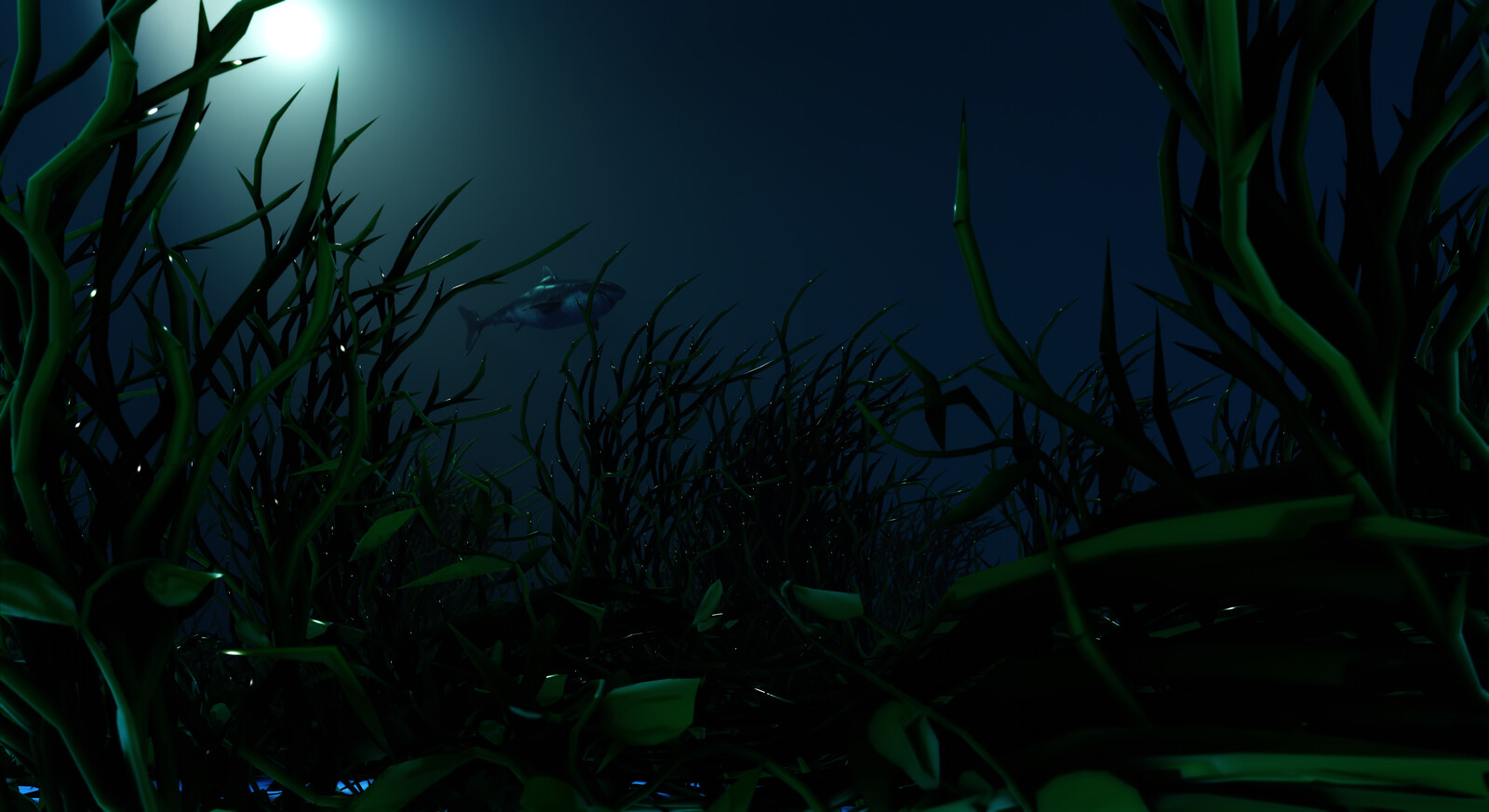 Utkarsh Raut - Shark underwater