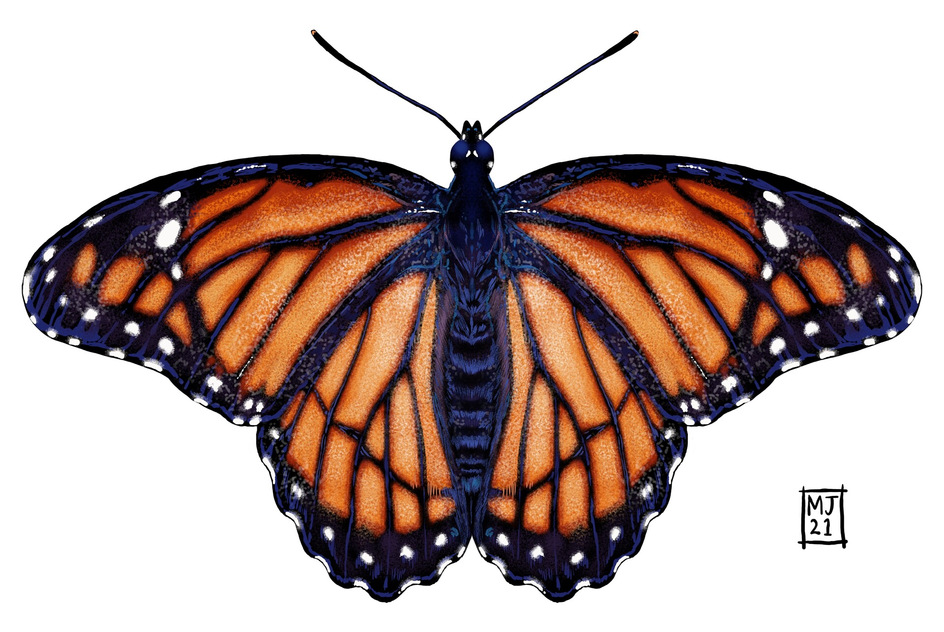 ArtStation - Orange Butterfly