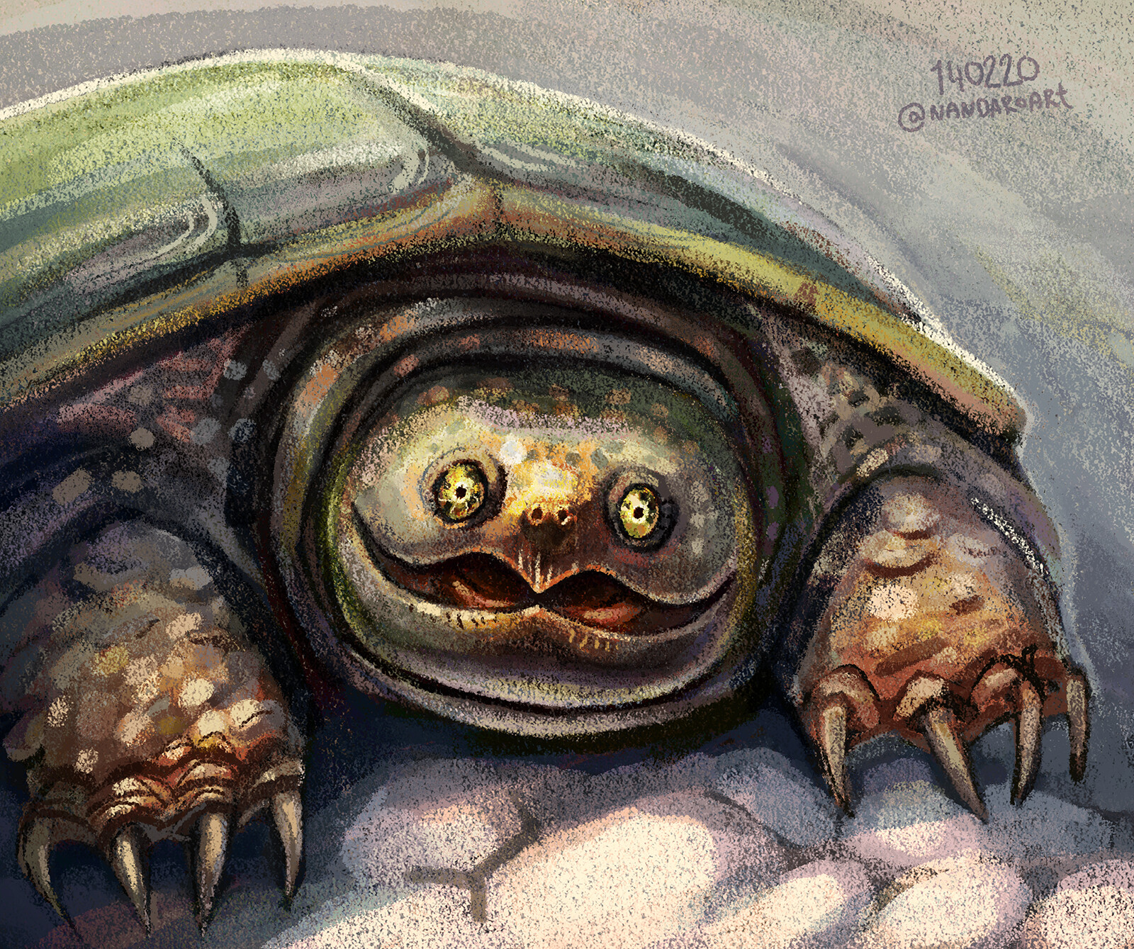 ArtStation - Some turtles and snails