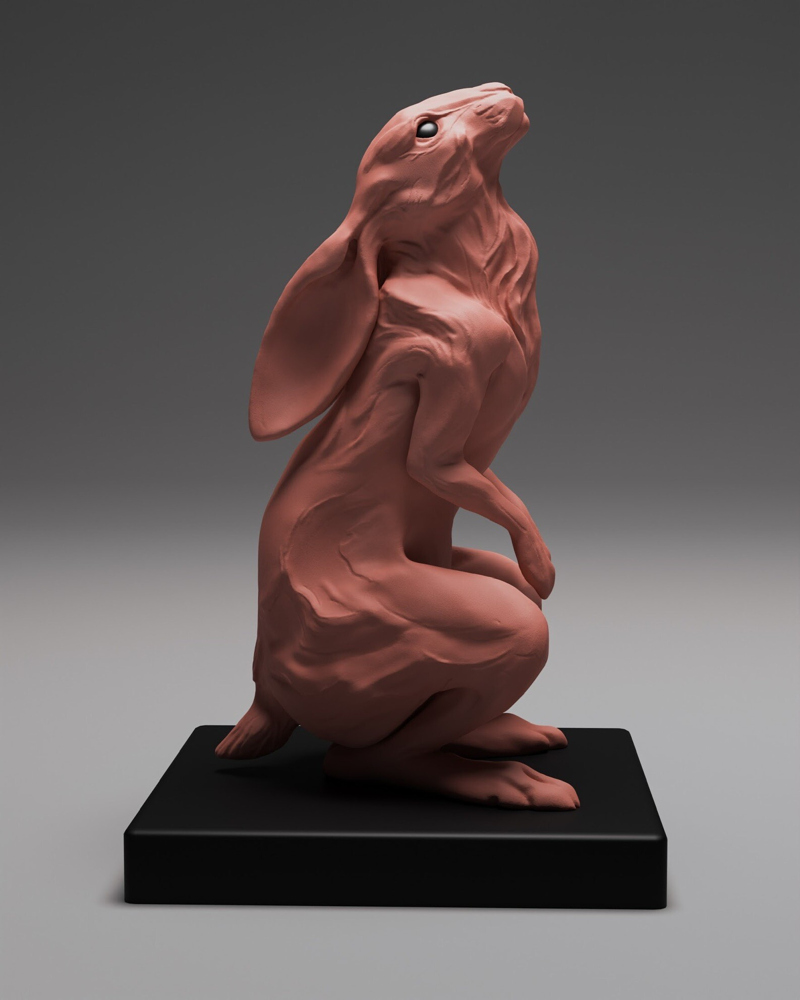 Morgan Evans - Beth Cavener Rabbit Master Study