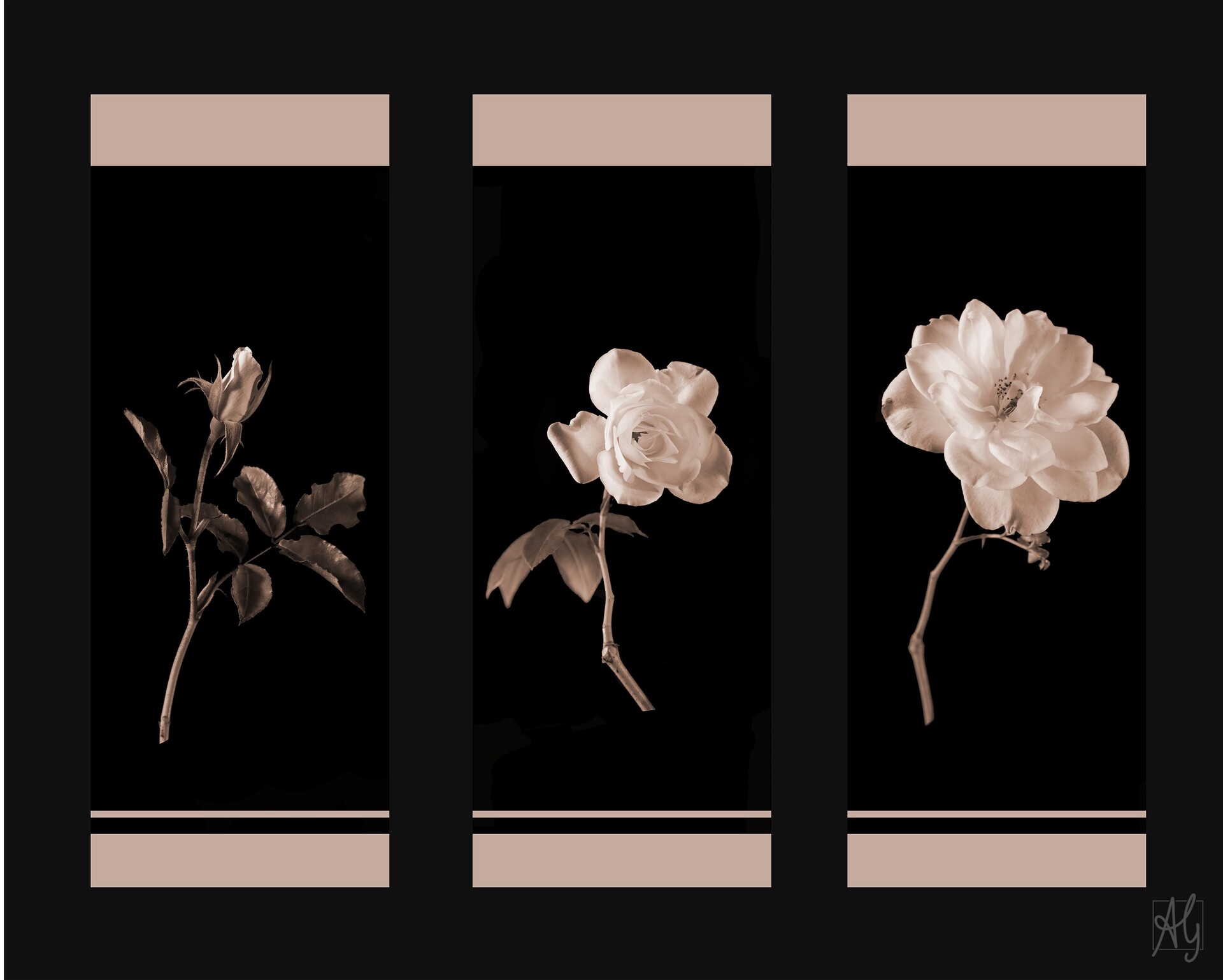 ArtStation - Progression