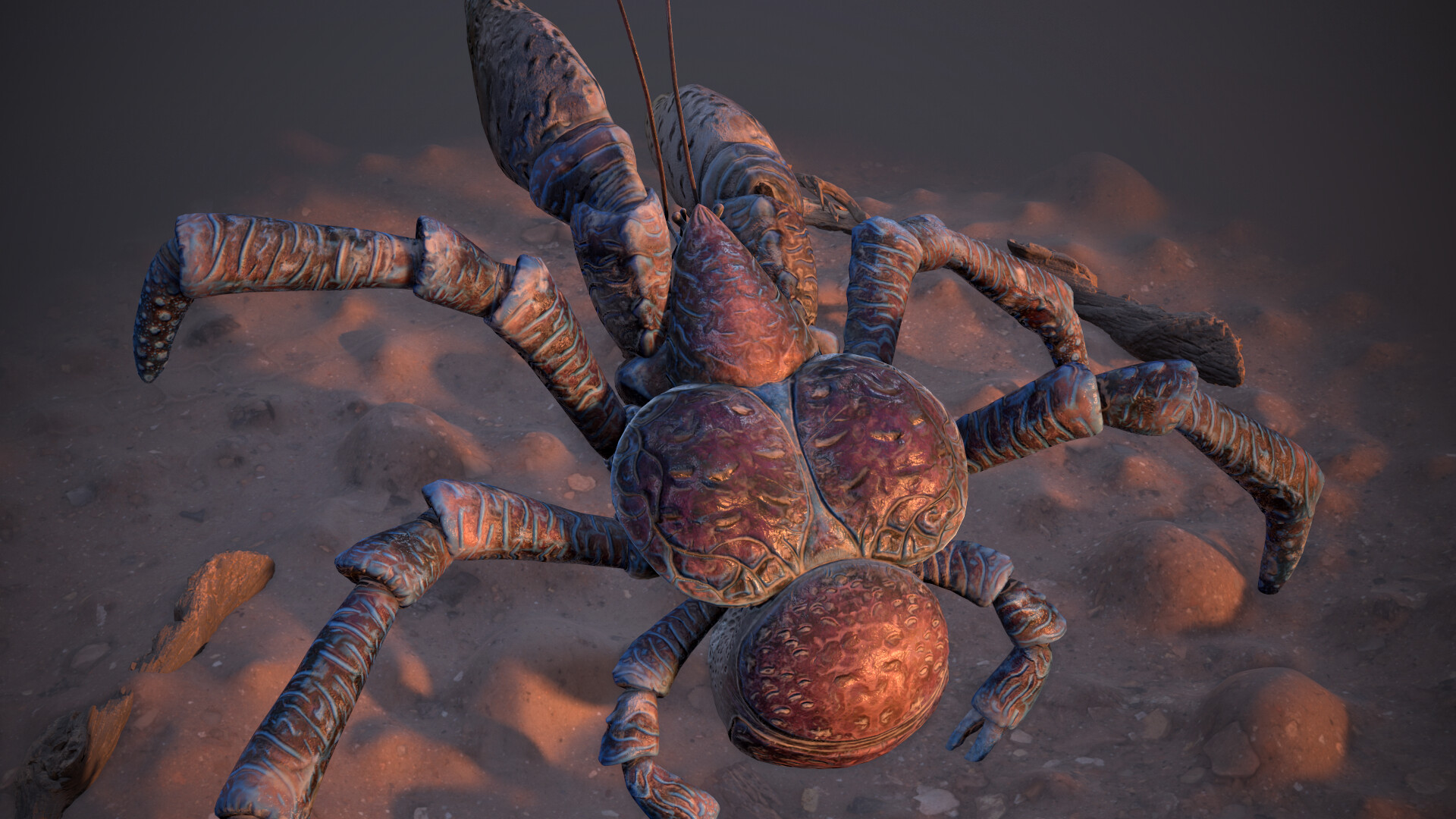 Giant Coconut Spider