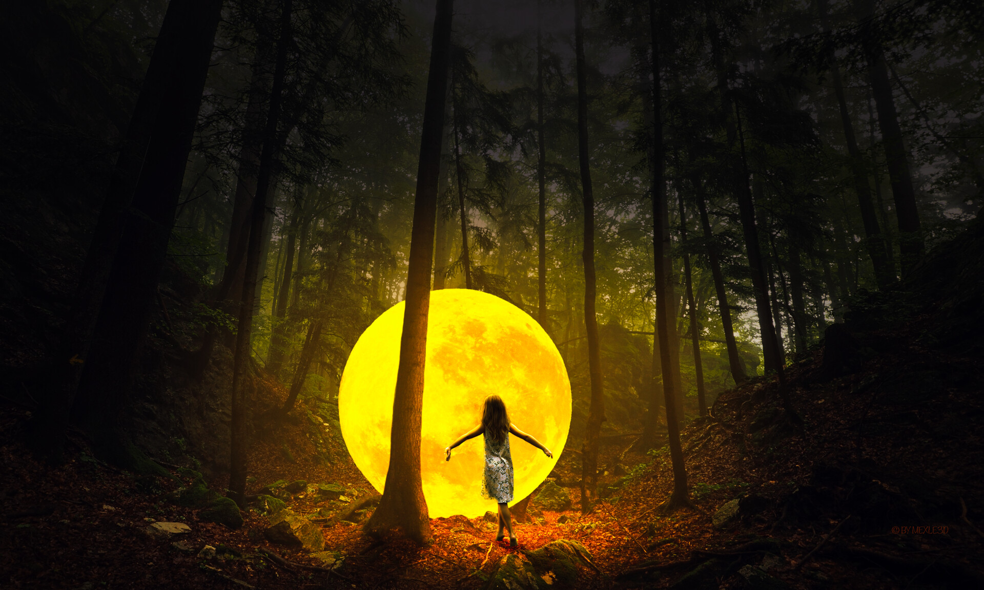 ArtStation - Moon in Forest