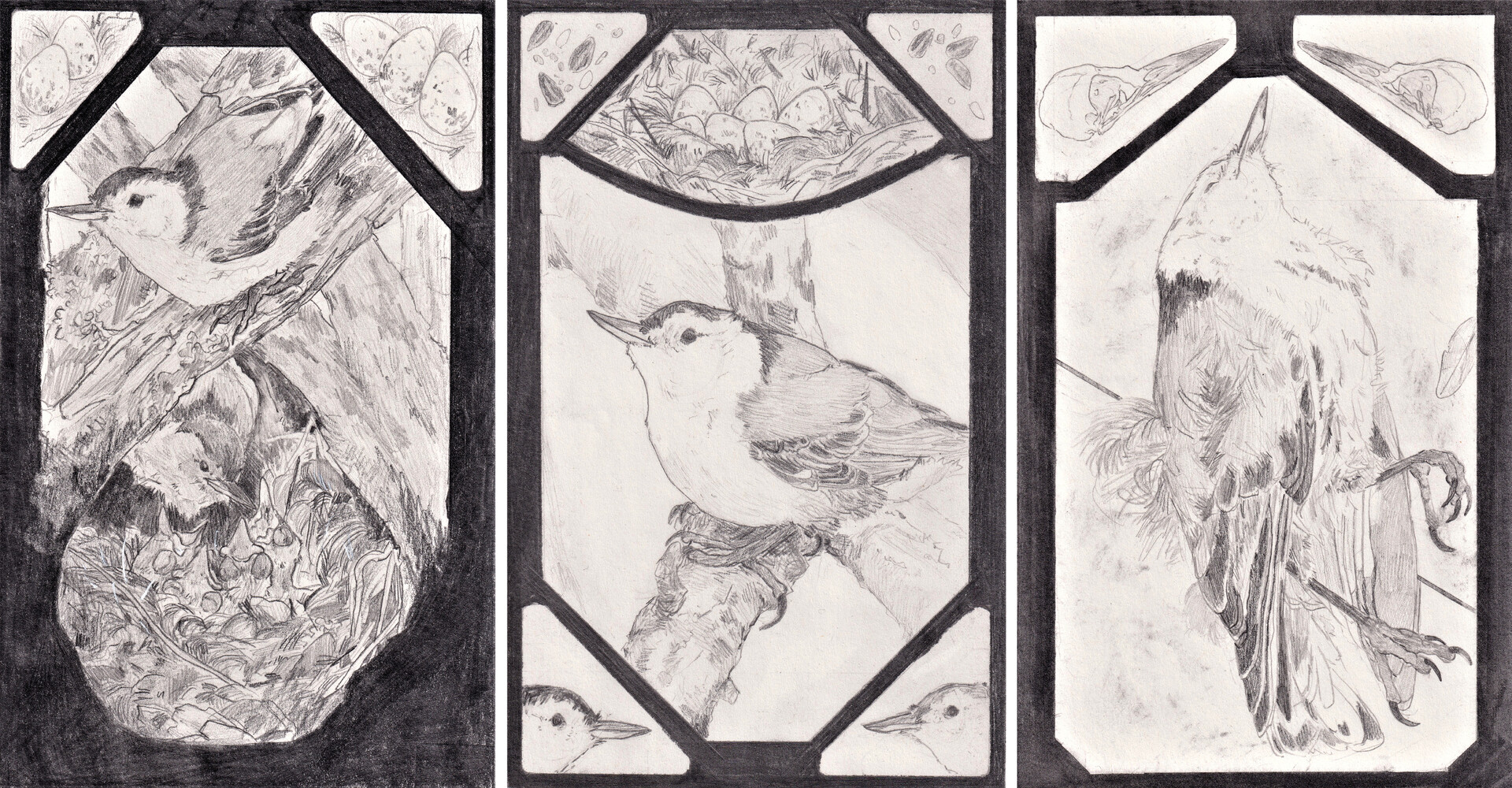 ArtStation - Birth Life Death