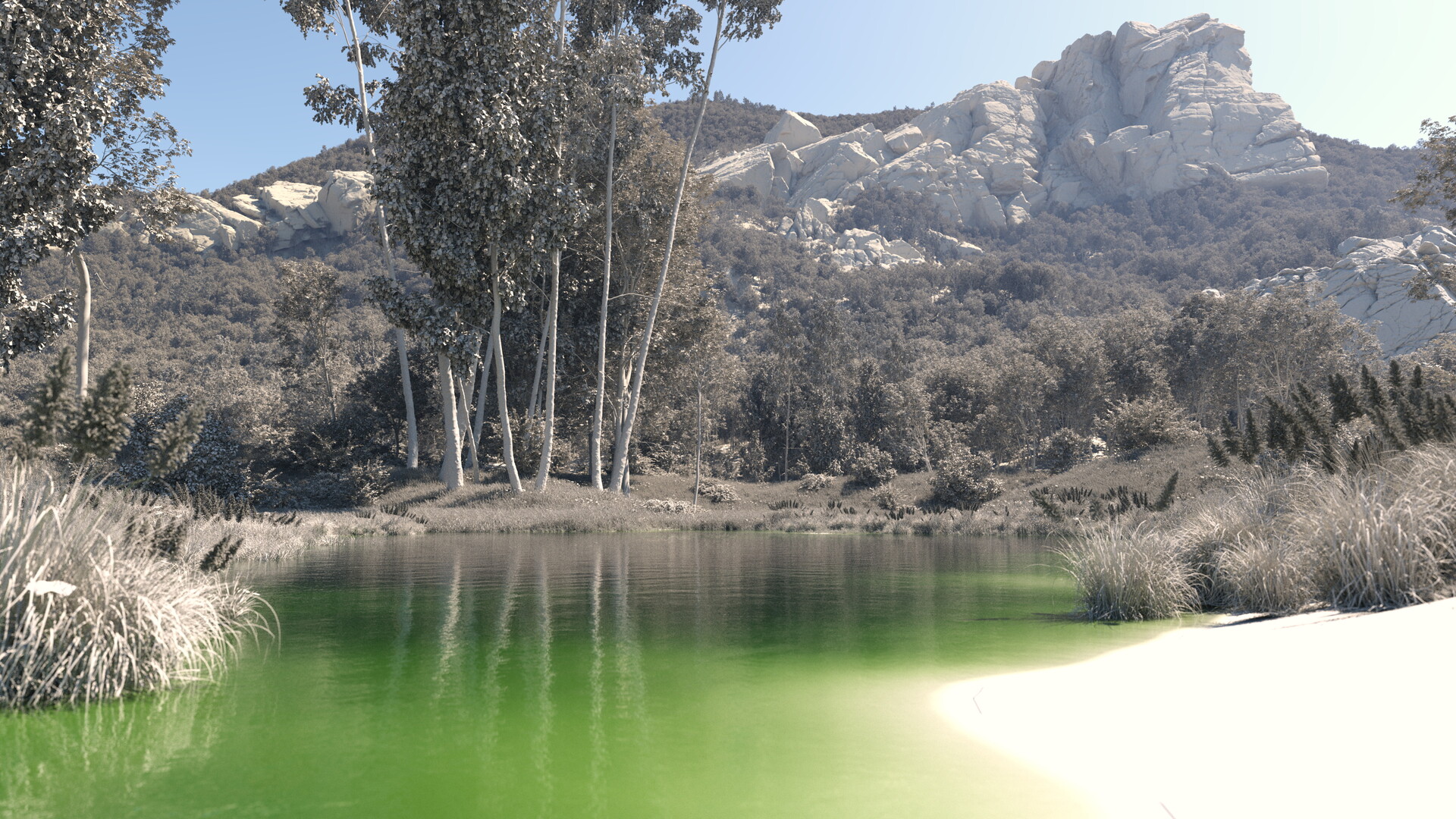 Dax Pandhi - Birch Grove