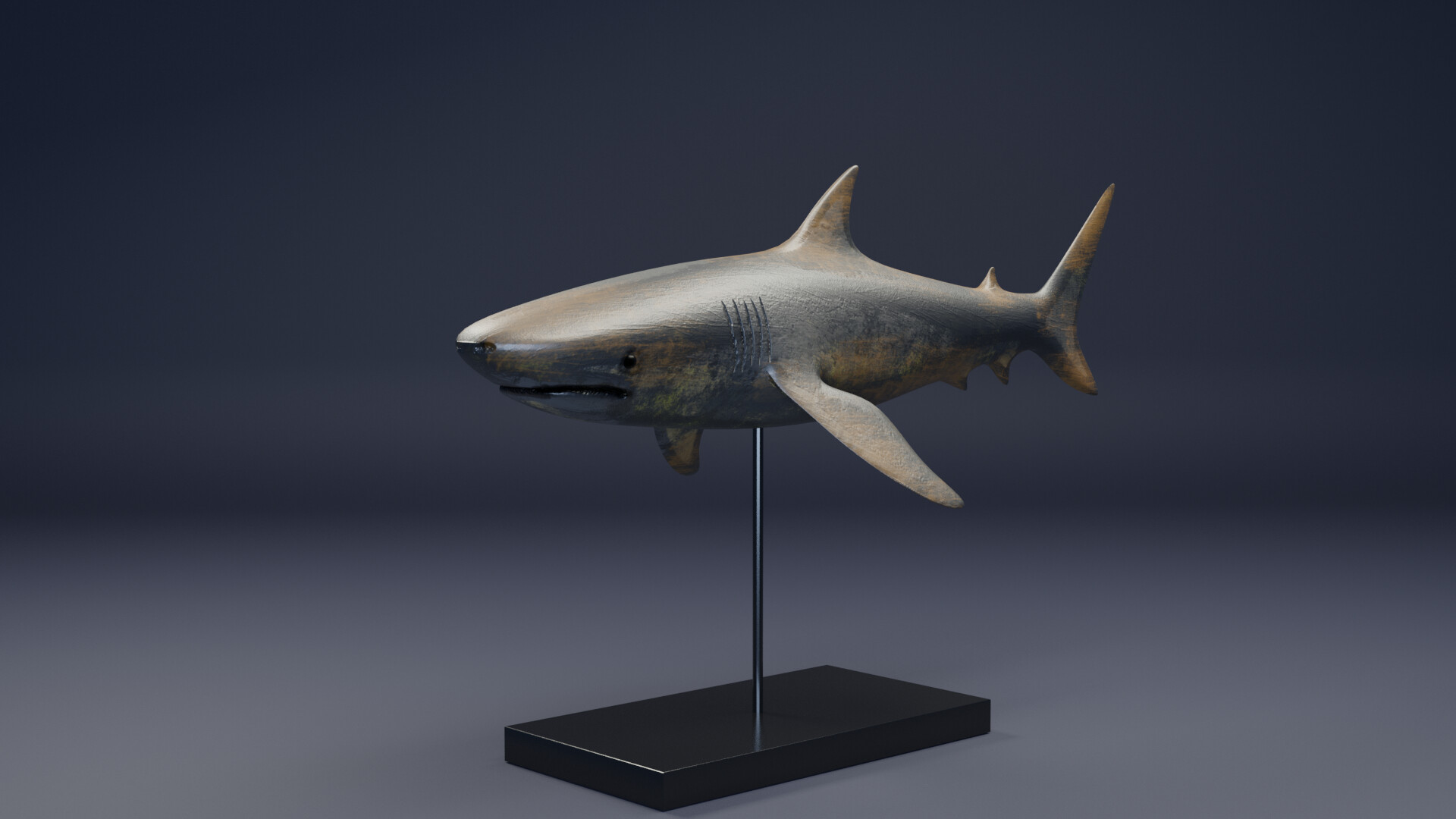 ArtStation - shark