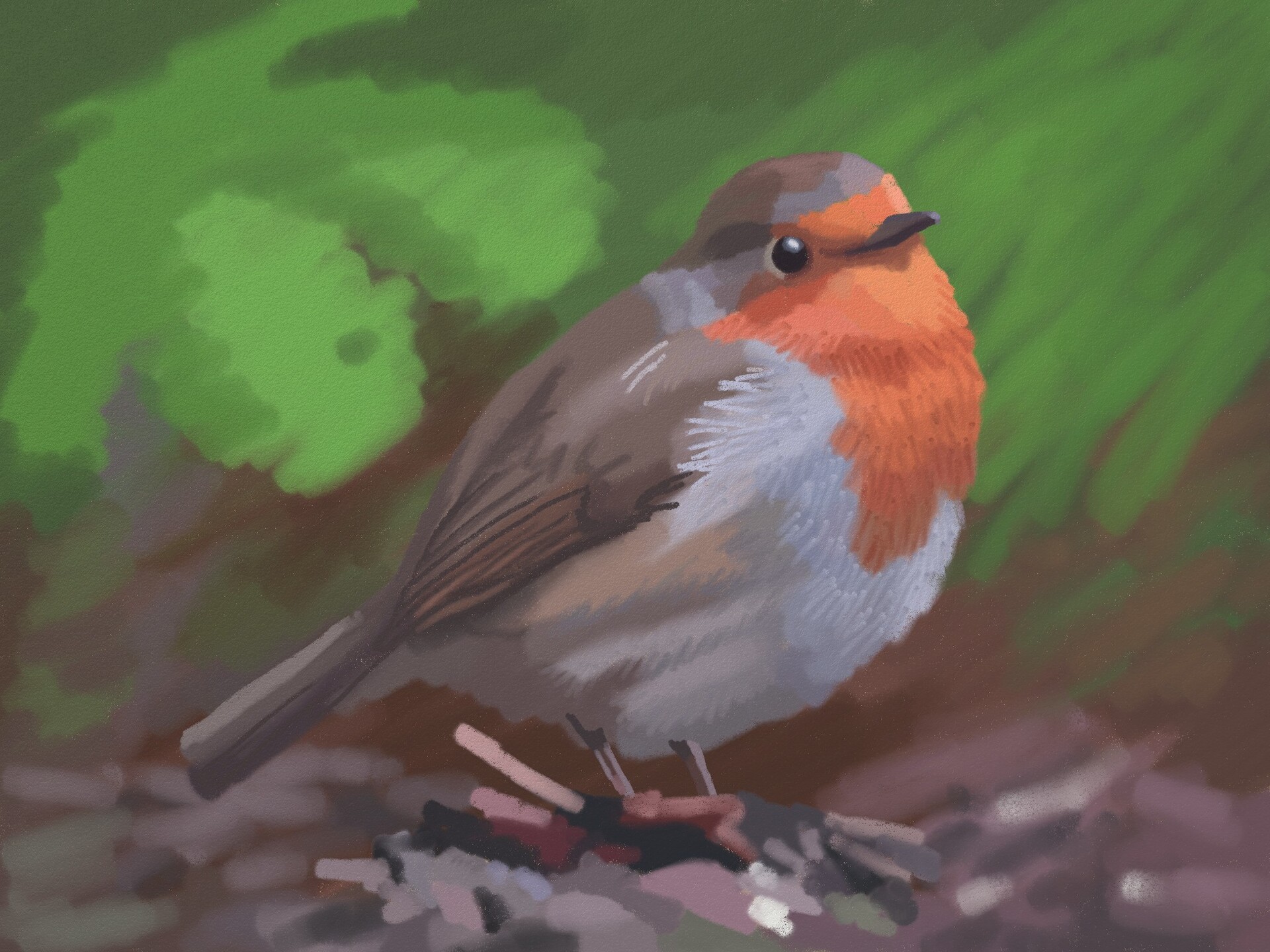 ArtStation - Robin by the Strawberry Plants