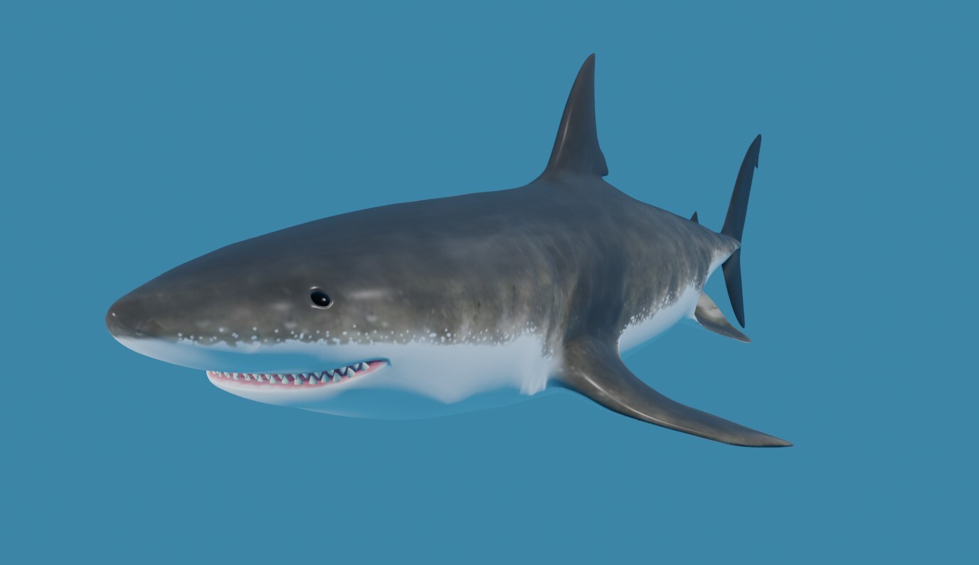ArtStation - Shark - Tubarao