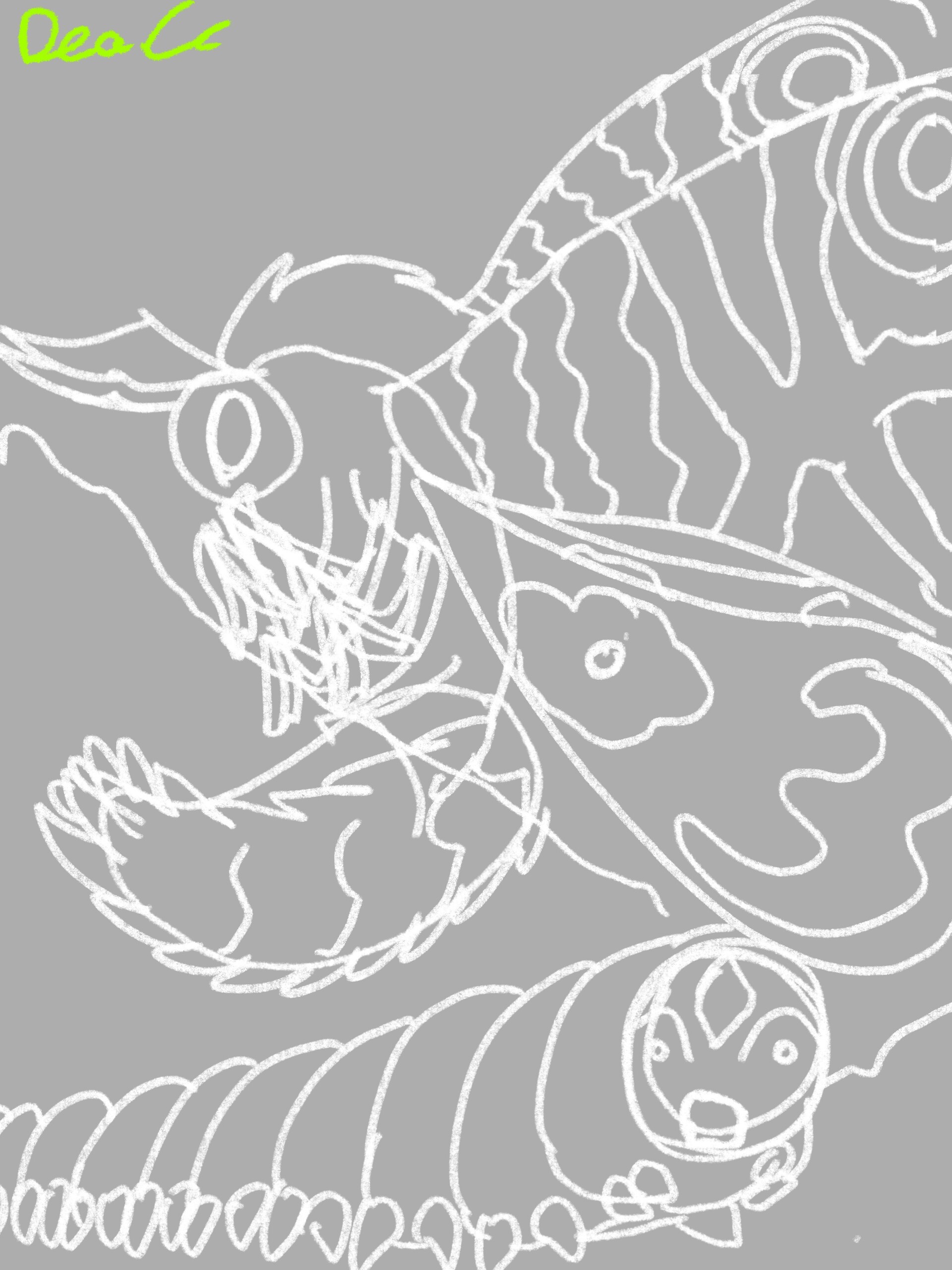 mothra coloring pages